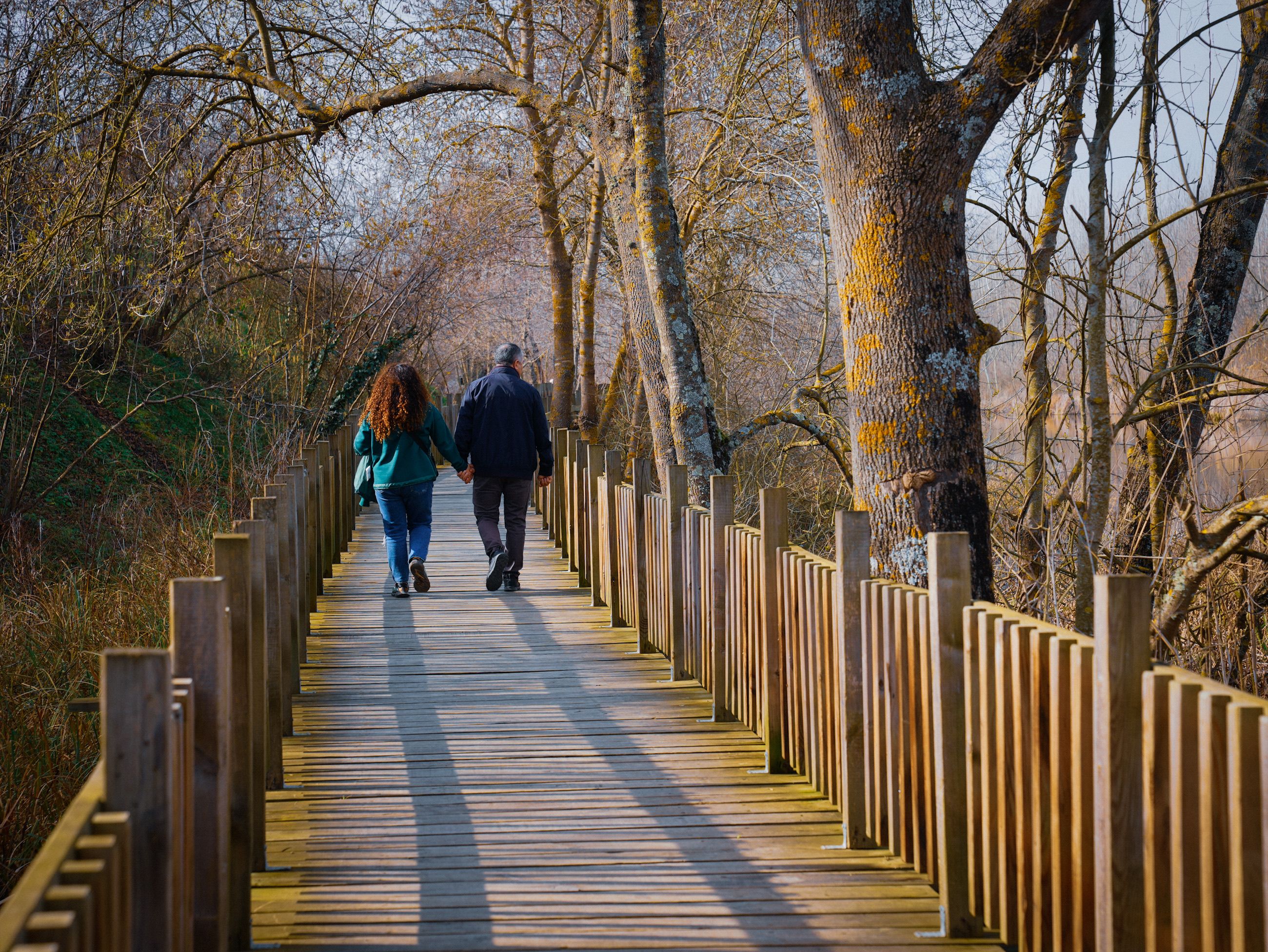 Walking In Trails Photos, Download The BEST Free Walking In Trails ...
