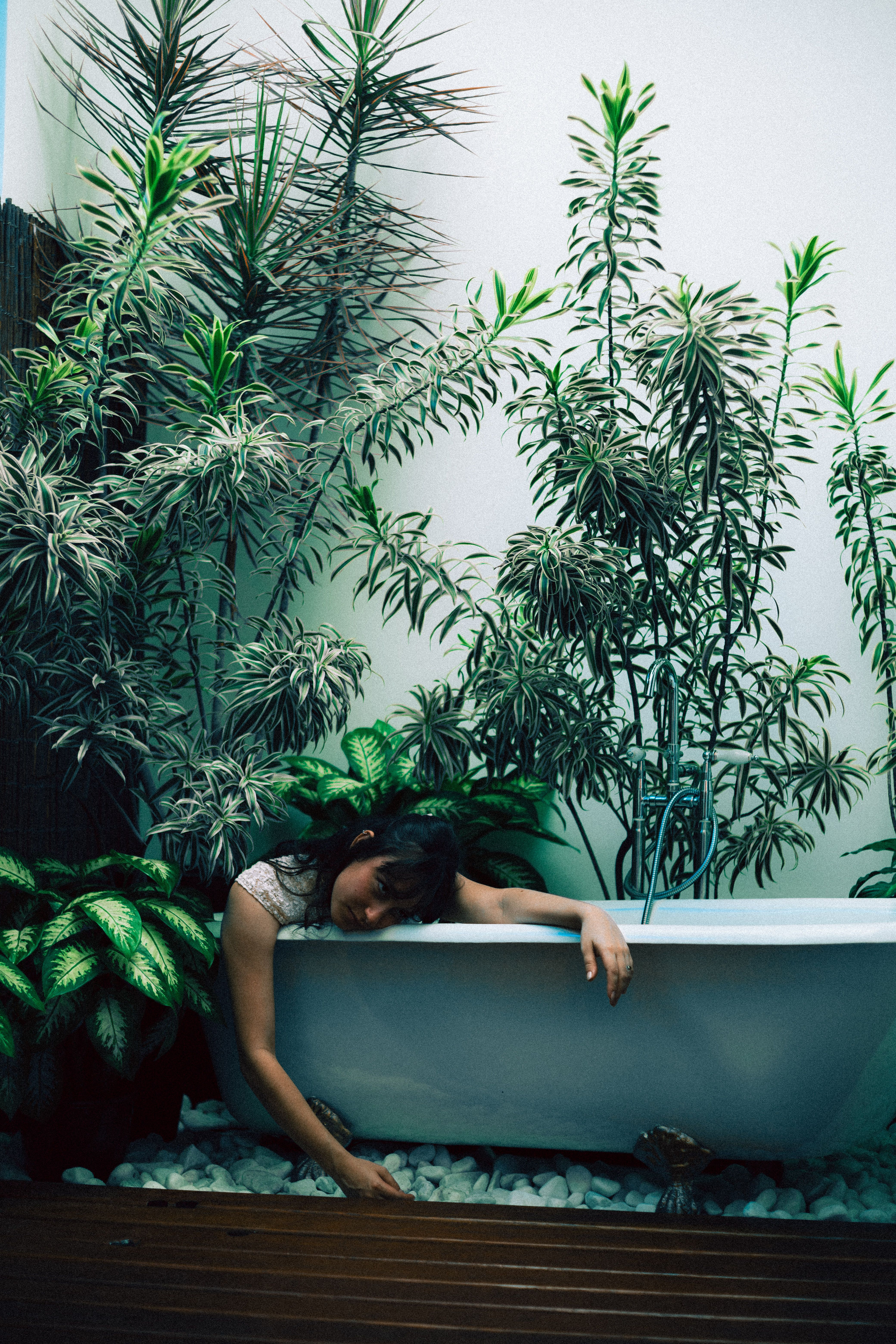 Escape Aesthetic Photos, Download The BEST Free Escape Aesthetic Stock ...
