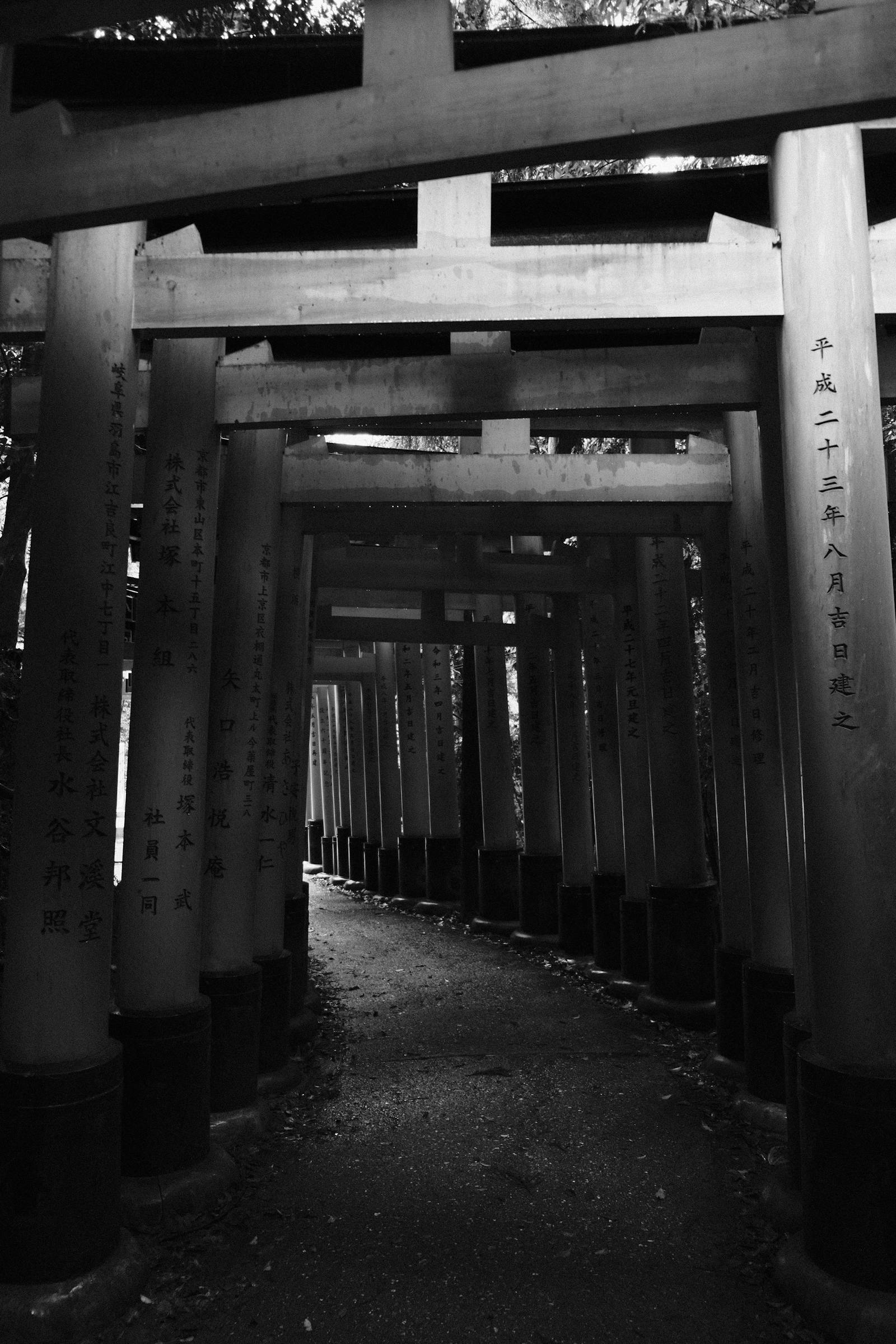 Minimal Black &White Japanese Torii Gate 4k Wallpaper Photos, Download ...