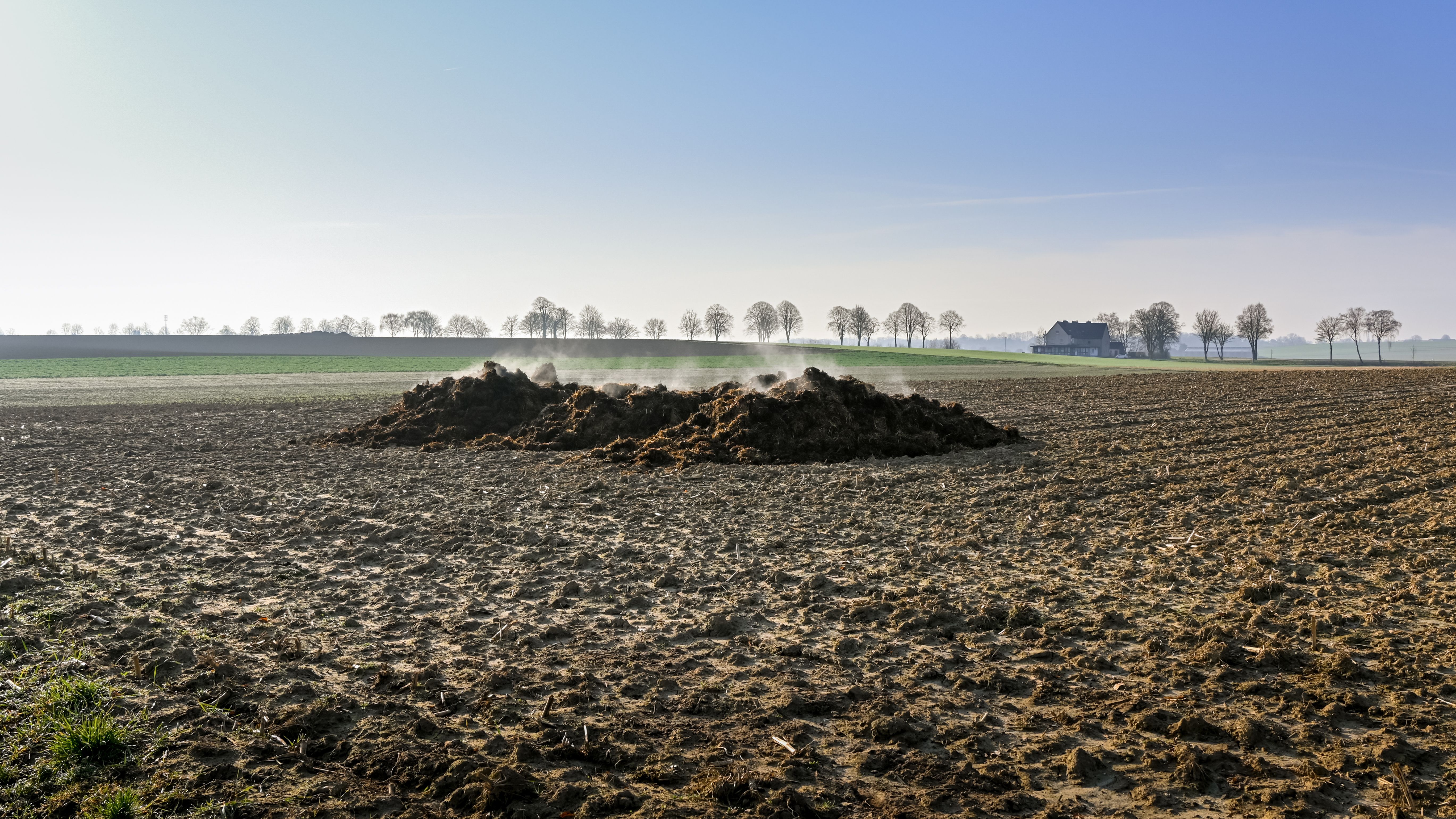 Manure Pile on a Farm in Sittard, Limburg · Free Stock Photo