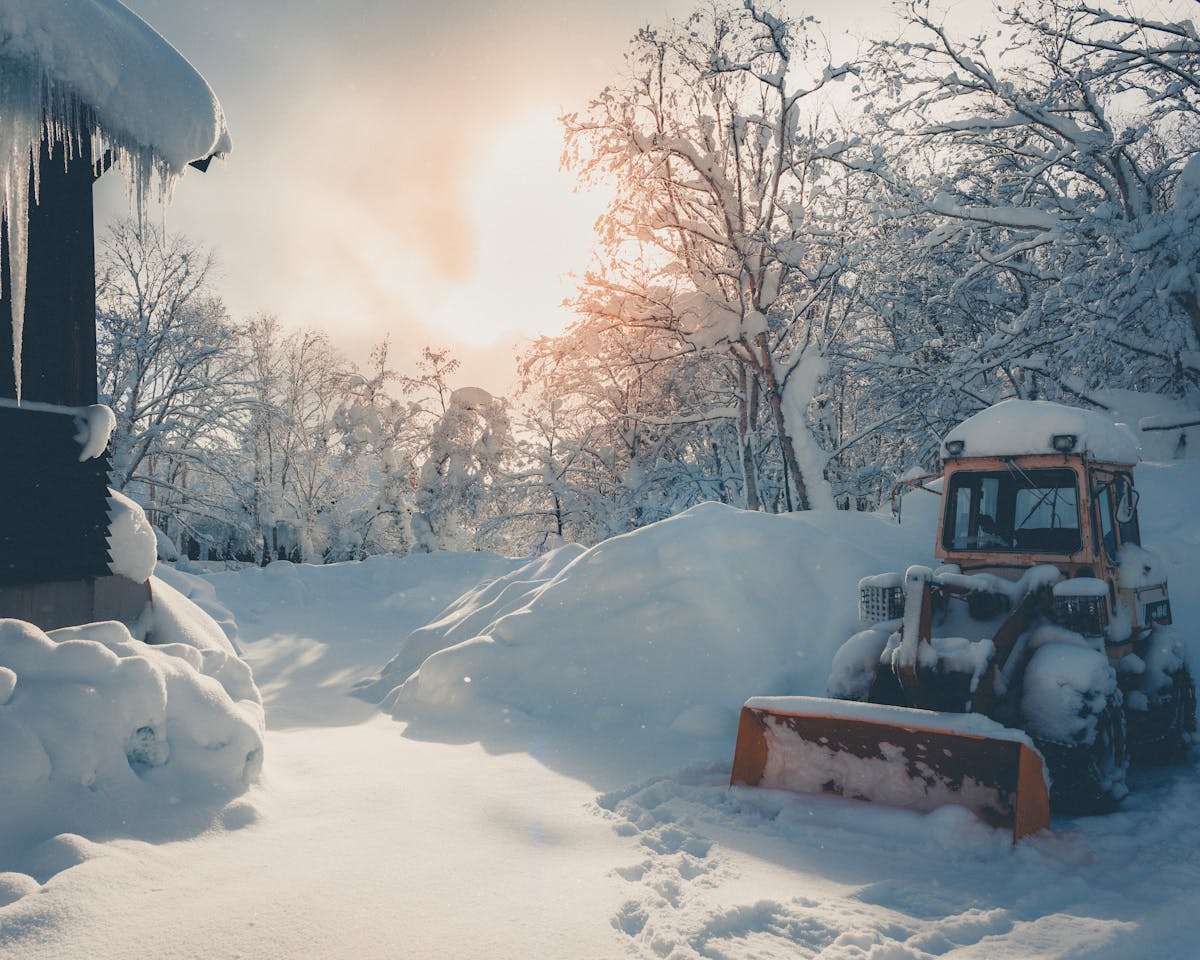 Snow Landscape Photos, Download The BEST Free Snow Landscape Stock ...