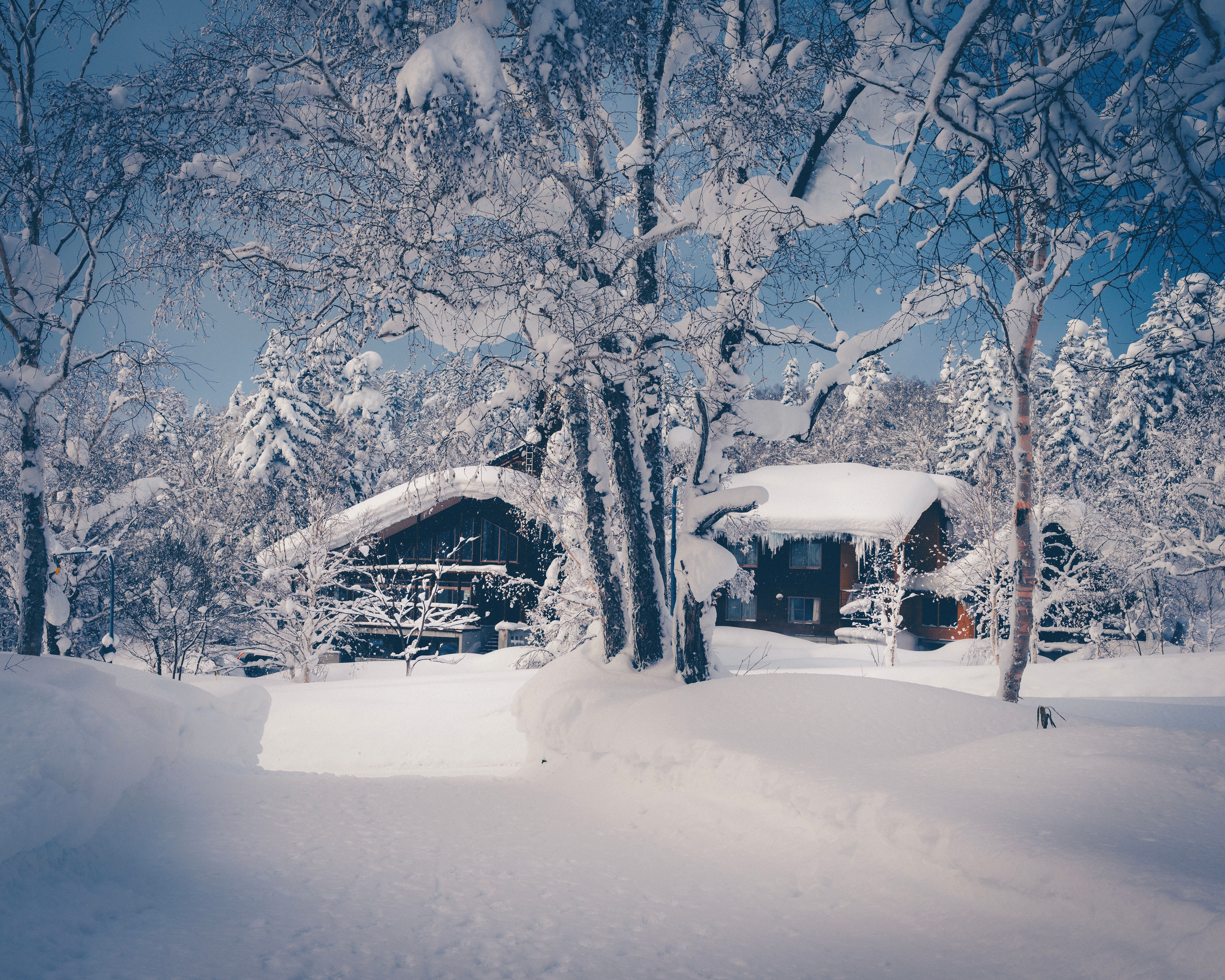 Photo of Building Covered With Snow · Free Stock Photo