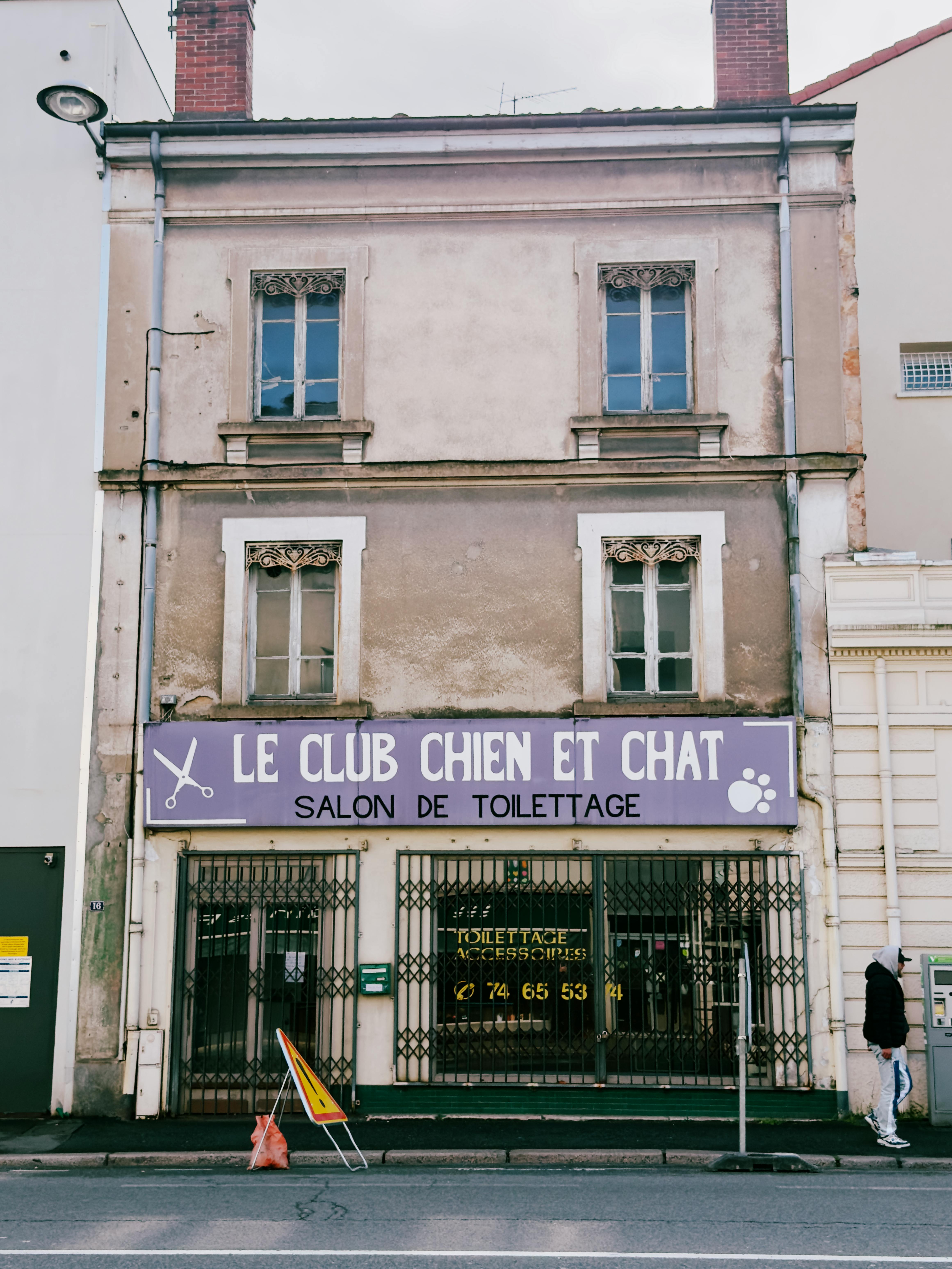 4.805+ Fotos y Imágenes de Chat chewing Gratis · Banco de Fotos Gratis