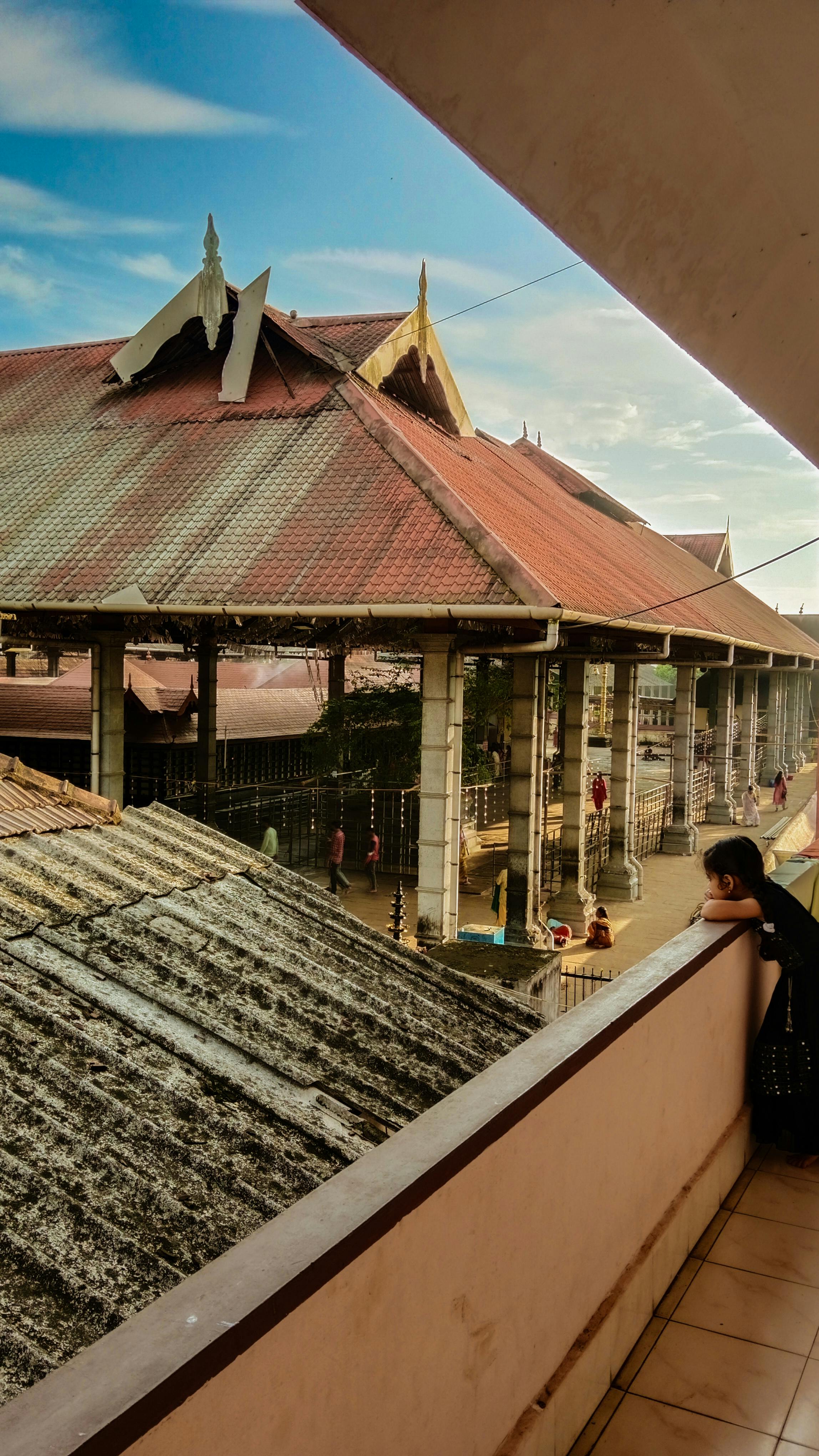 Nikhil M - Photography