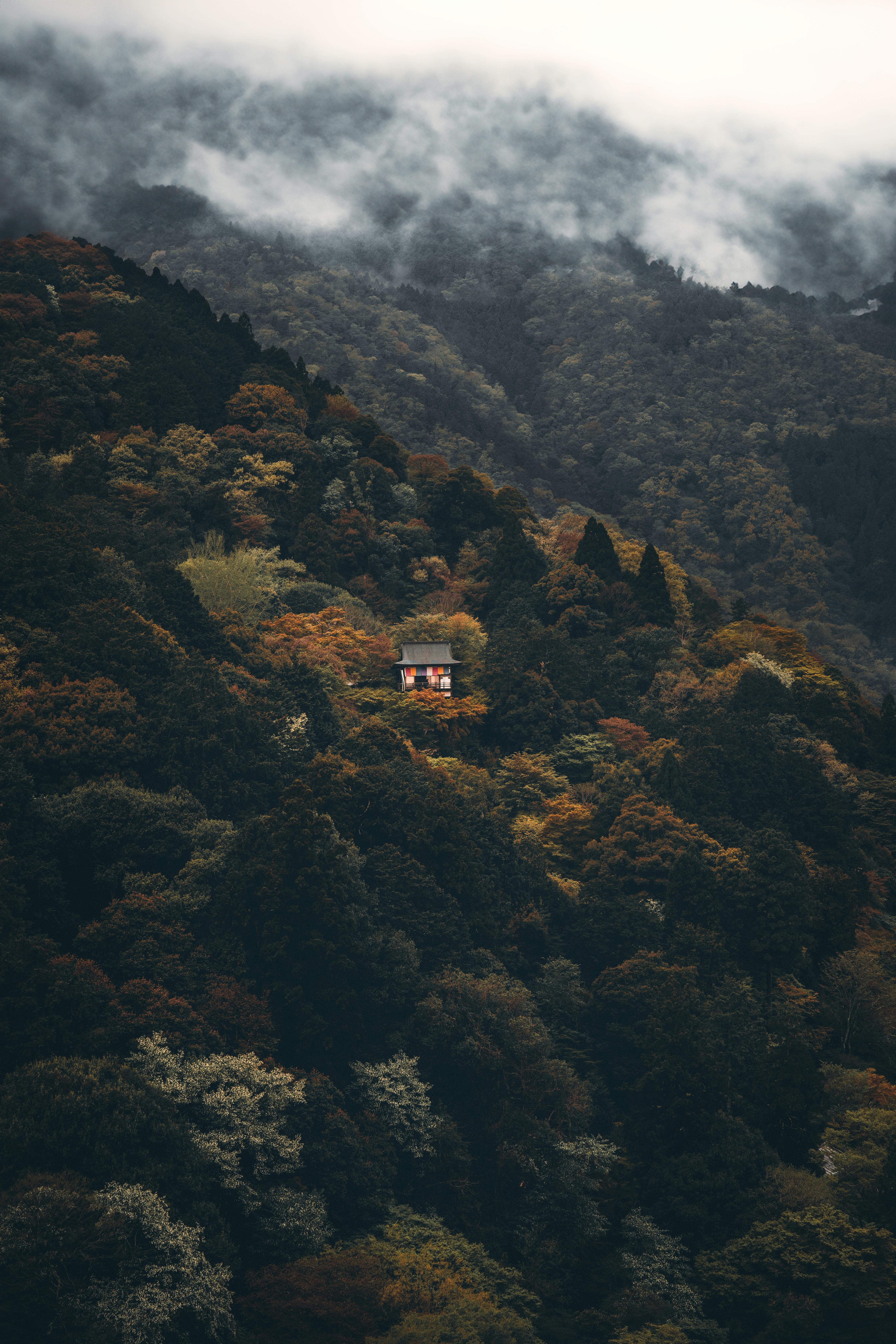 Serene Kyoto Mountain Temple amidst Autumn Foliage · Free Stock Photo