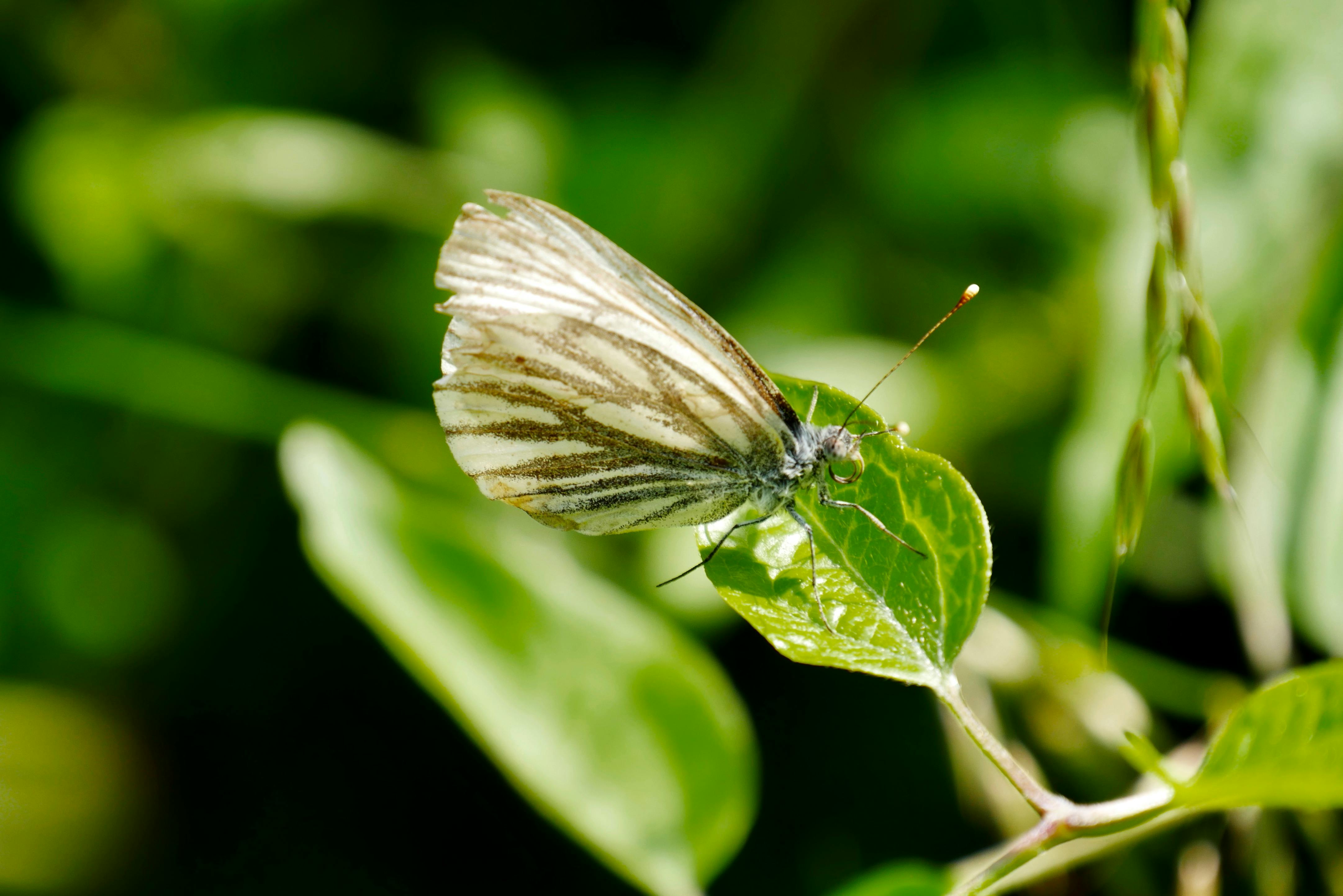 2d Drawing Of Background Photos, Download The BEST Free 2d Drawing Of ...