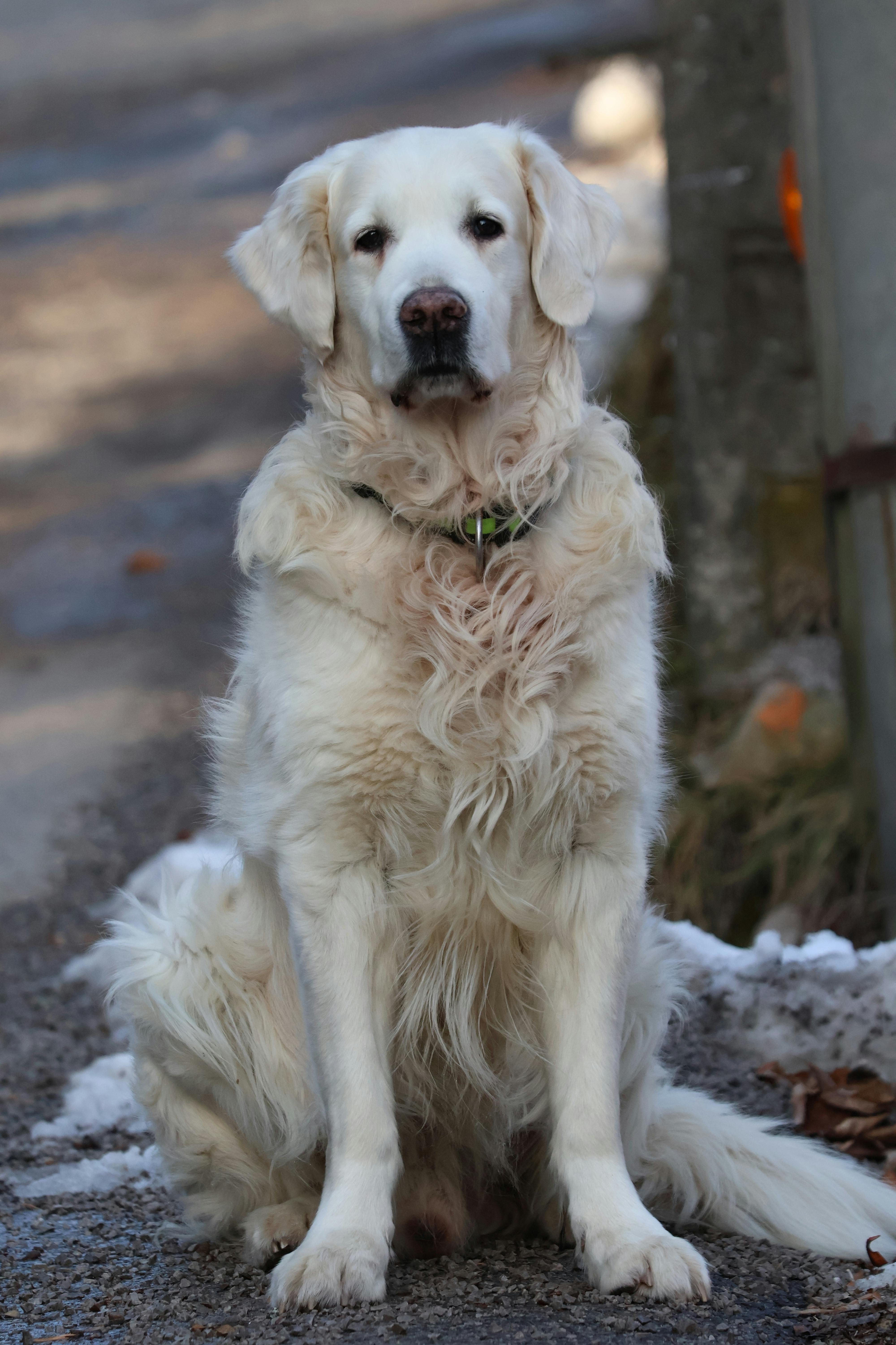 Lenka Hrašková - Photography
