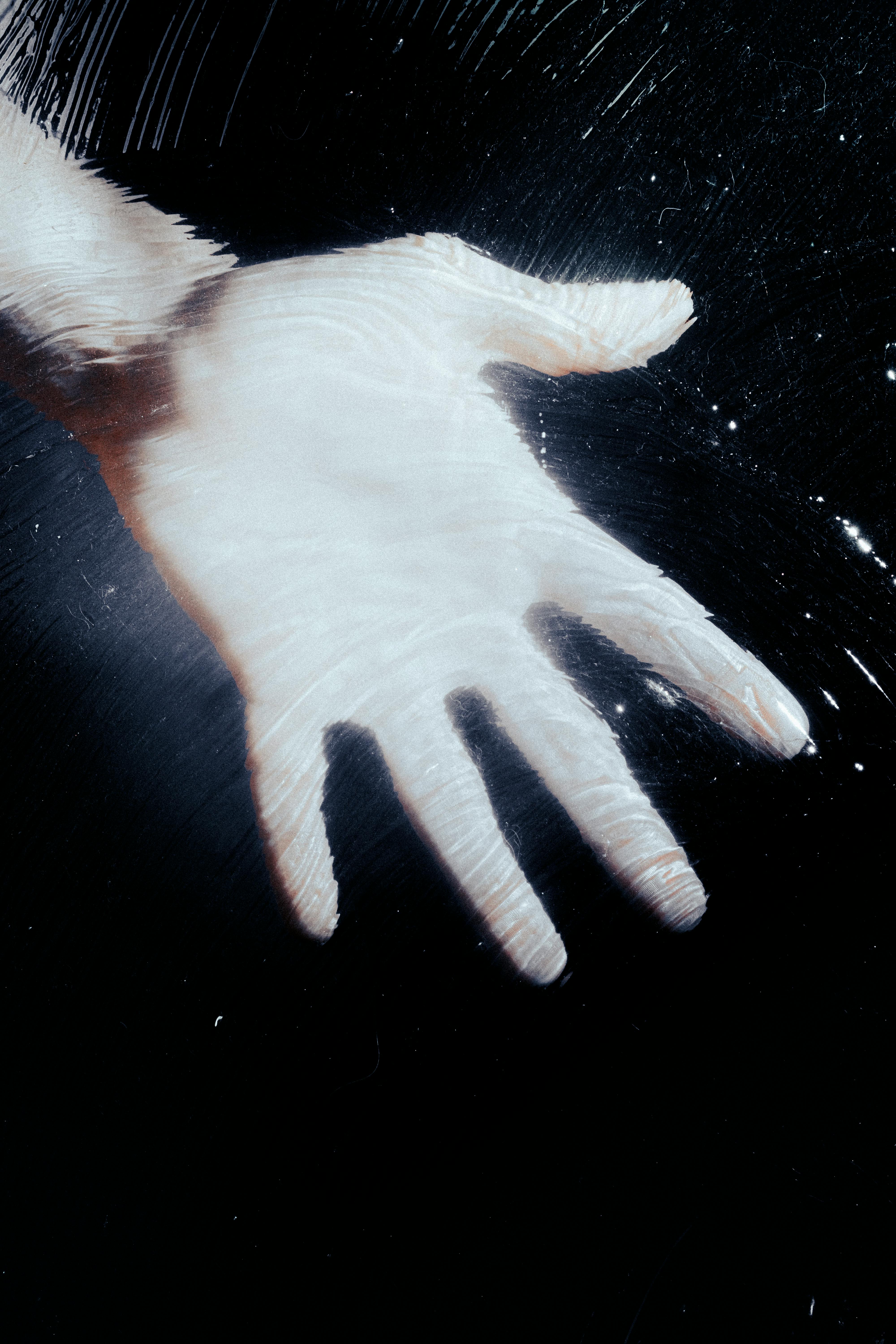 Concept Design Photos, Download The BEST Free Concept Design Stock ...