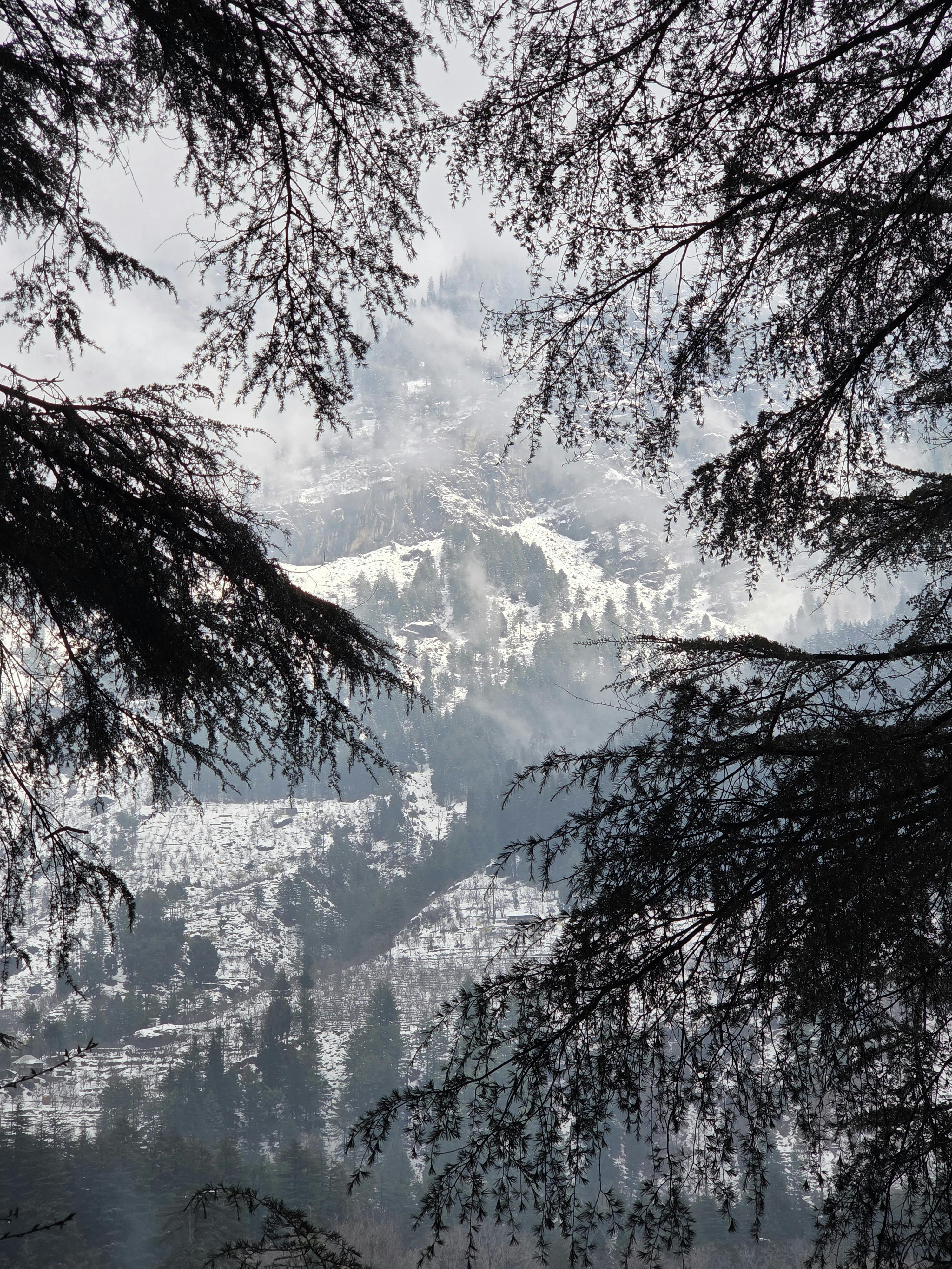 Manali 4k Photos, Download The BEST Free Manali 4k Stock Photos & HD Images