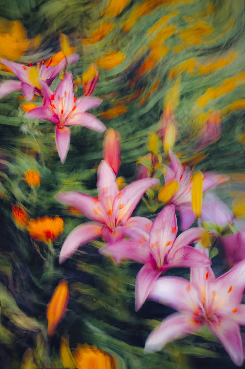 Abstract Flowers Photos, Download The BEST Free Abstract Flowers Stock ...