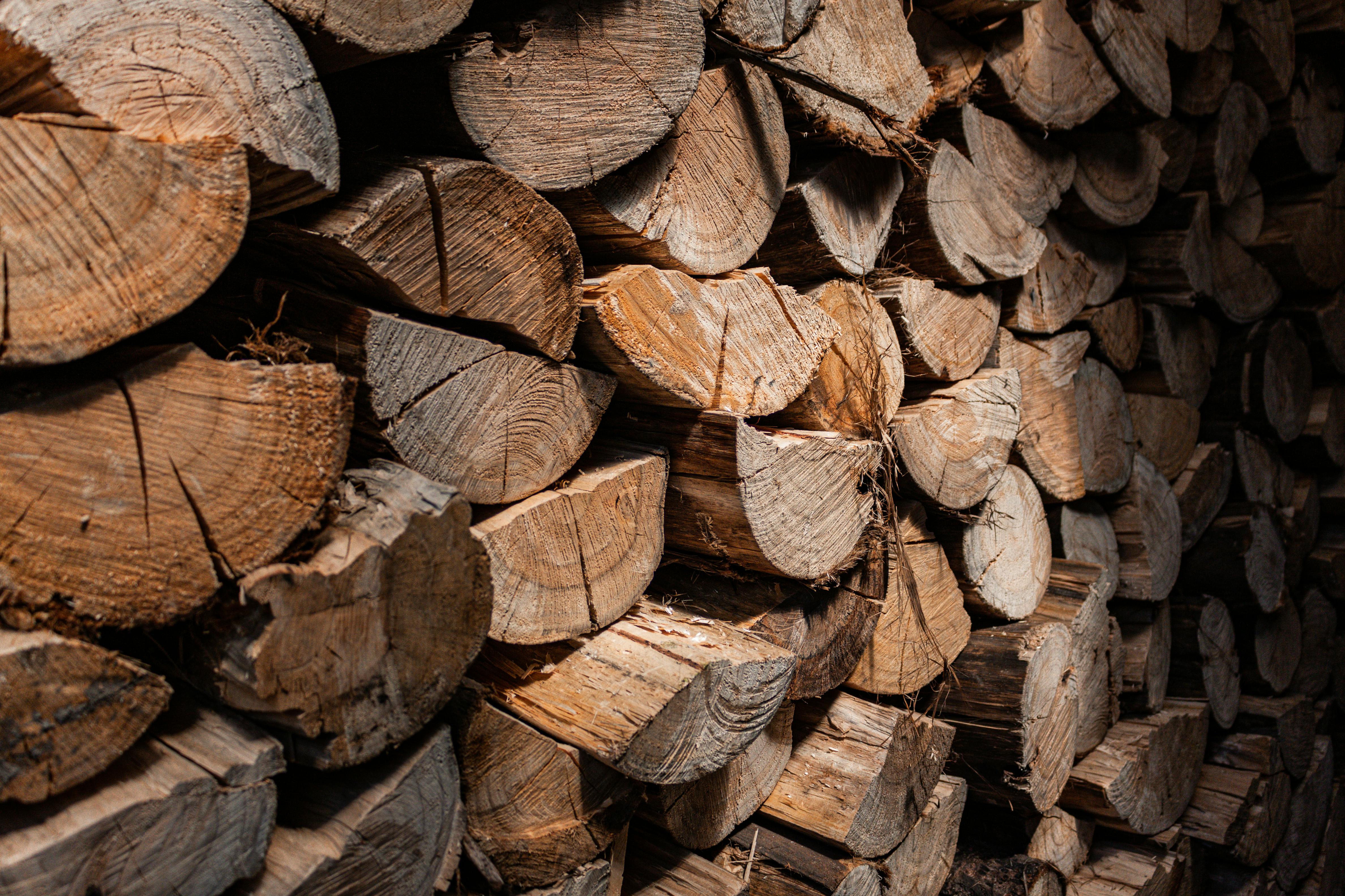 Source Photos, Download The BEST Free Source Stock Photos & HD Images