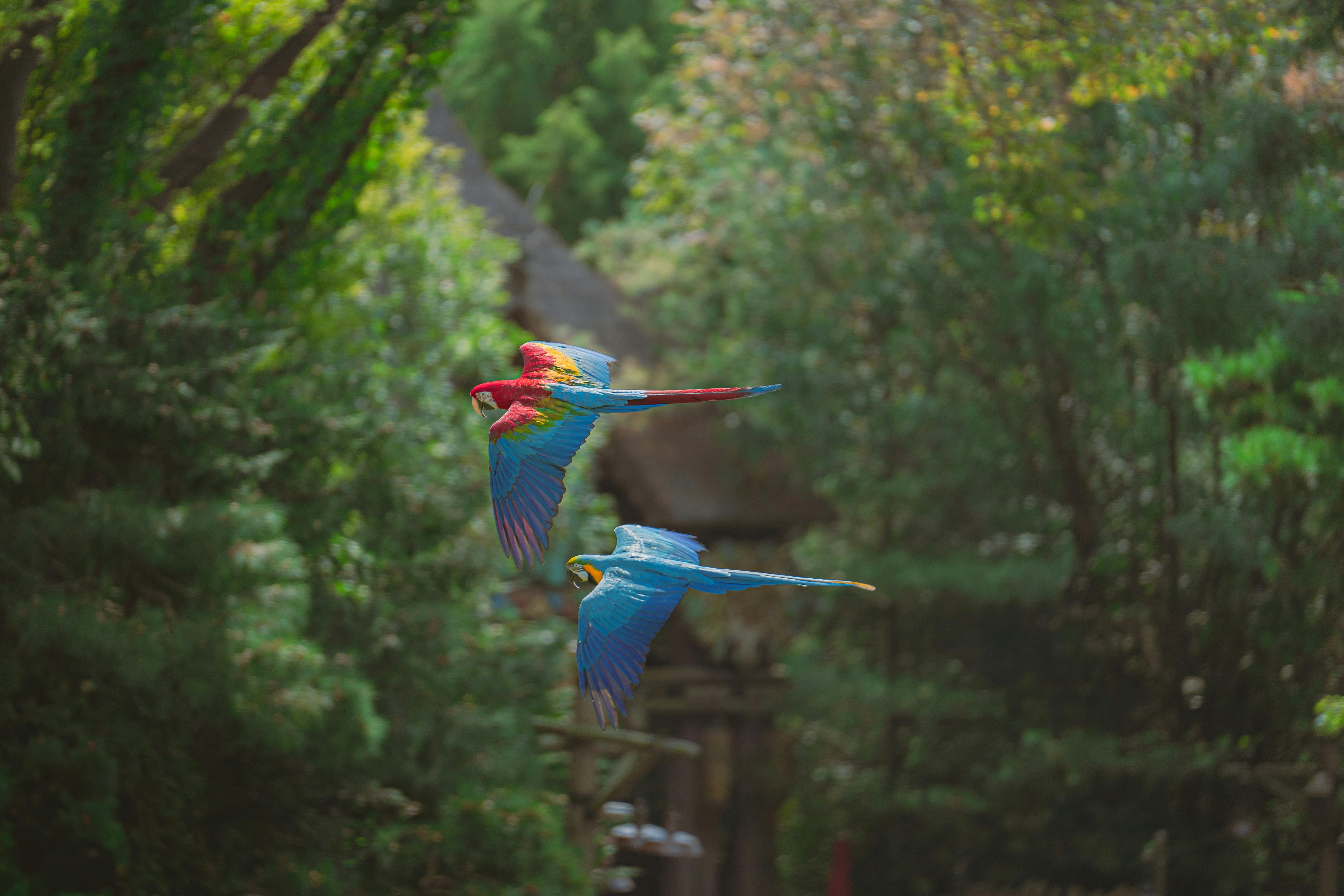 Buku Atlas Ara Photos, Download The BEST Free Buku Atlas Ara Stock ...