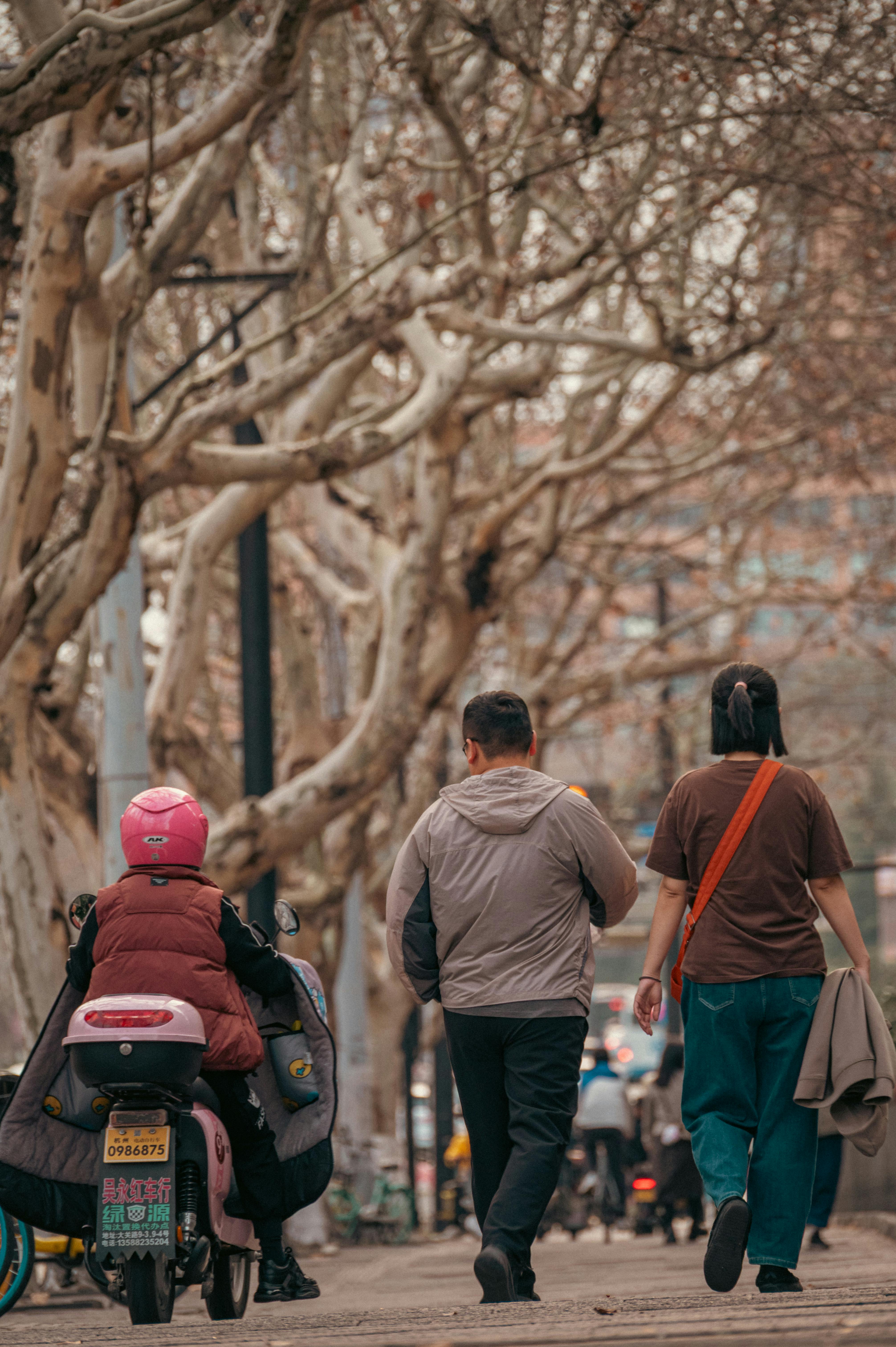 Everyday Algoritm Photos, Download The BEST Free Everyday Algoritm ...