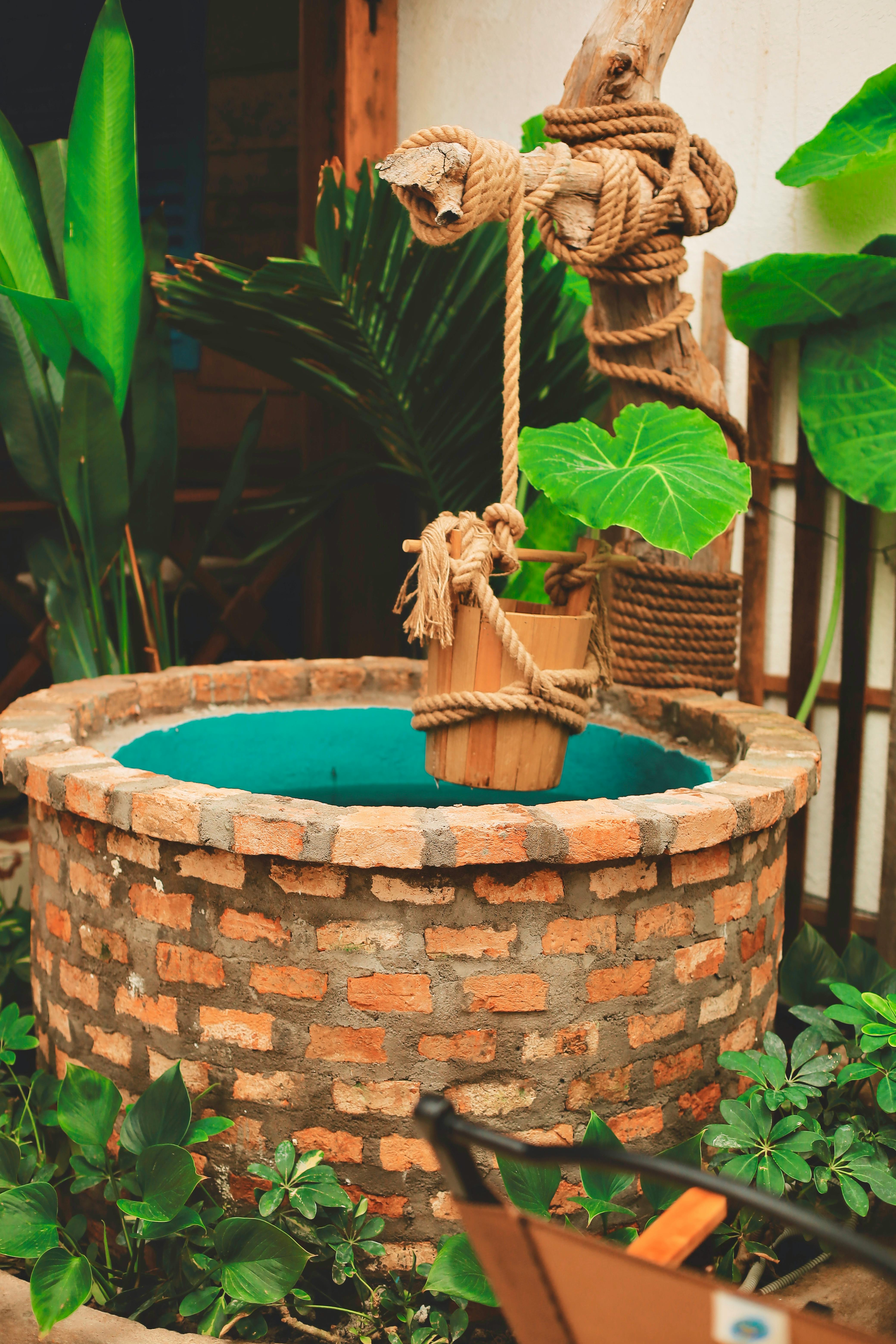 Rustic Brick Well with Lush Greenery · Free Stock Photo