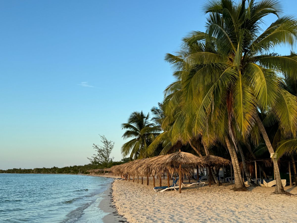 Caribbean Beach Photos, Download The BEST Free Caribbean Beach Stock ...
