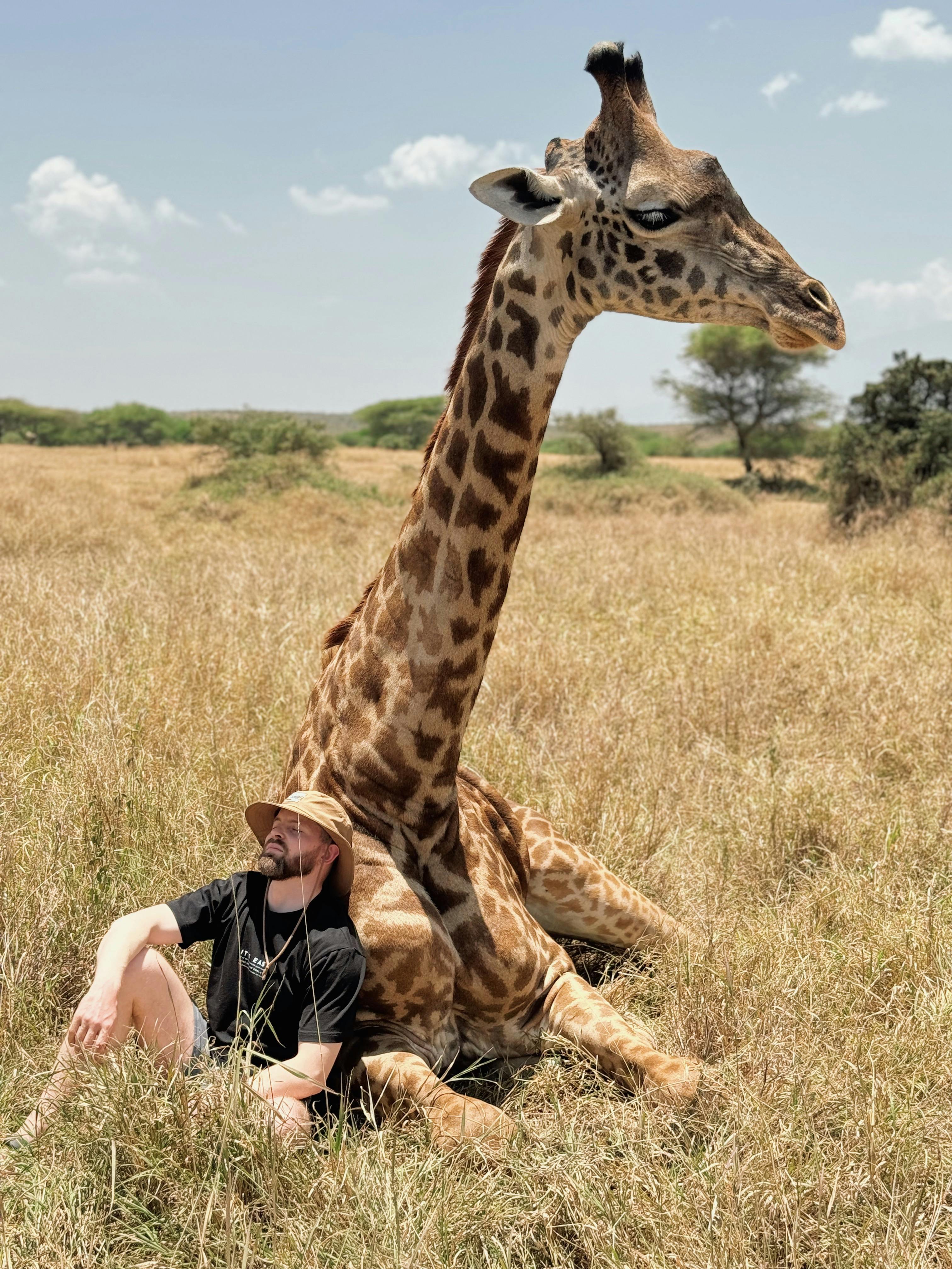 Man Relaxing with Giraffe in Serengeti Plains · Free Stock Photo