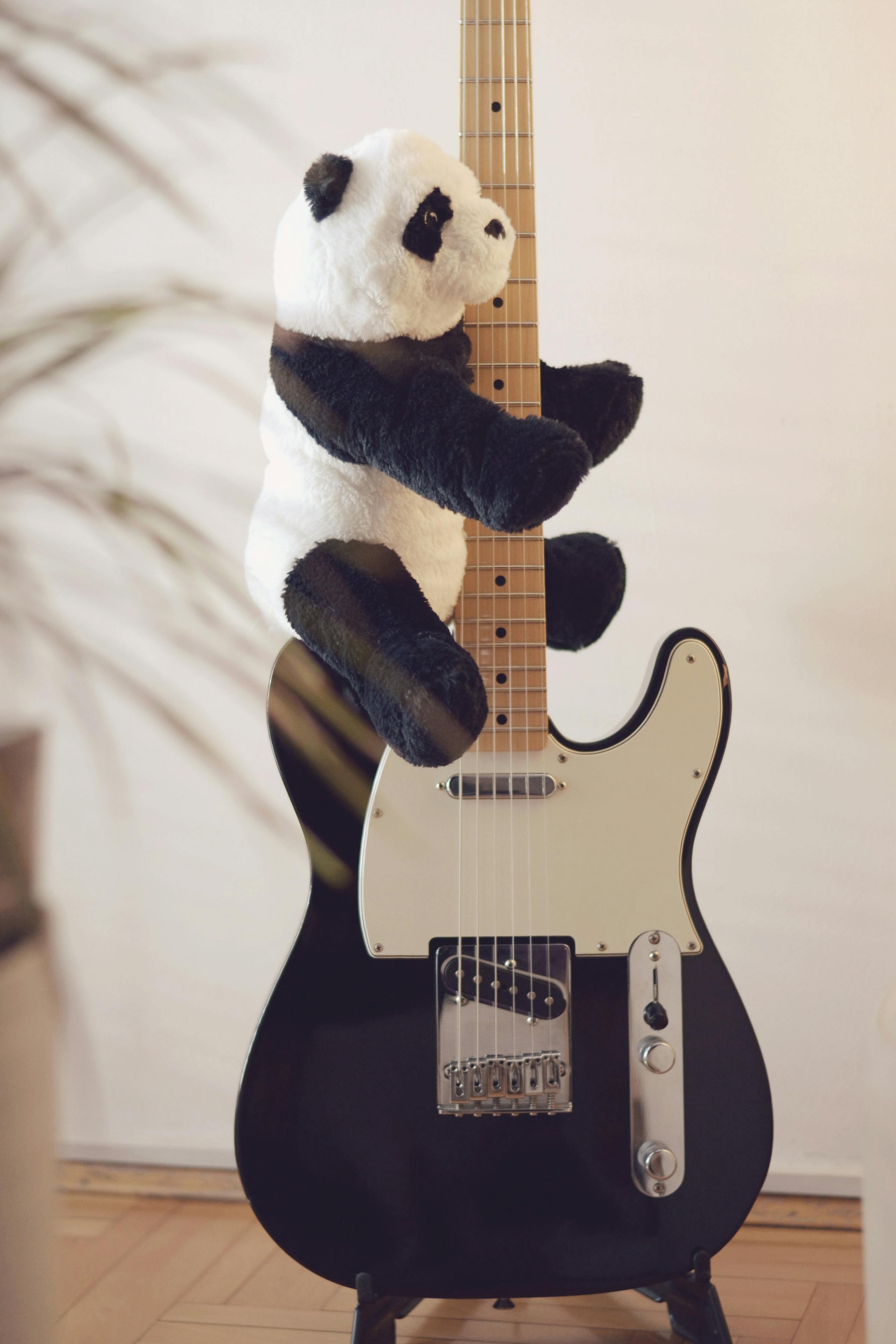 Panda Toy Hanging on Black Telecaster Guitar · Free Stock Photo