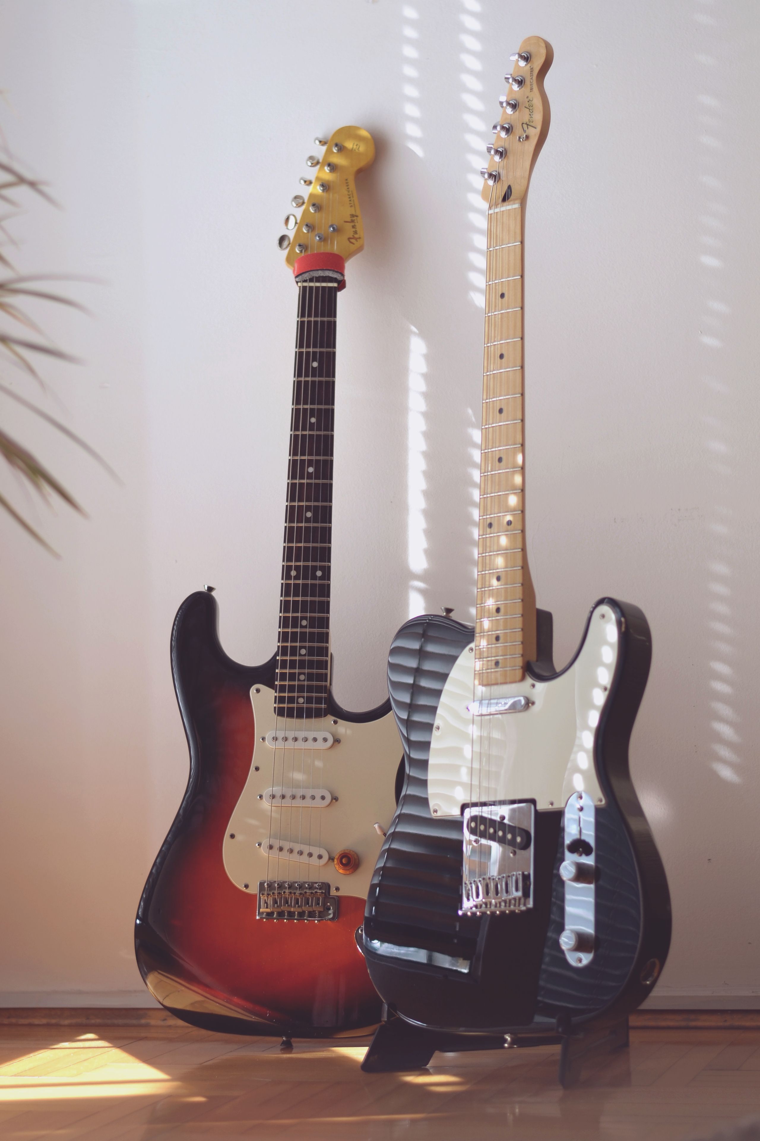 Fender Telecaster Photos, Download The BEST Free Fender Telecaster ...