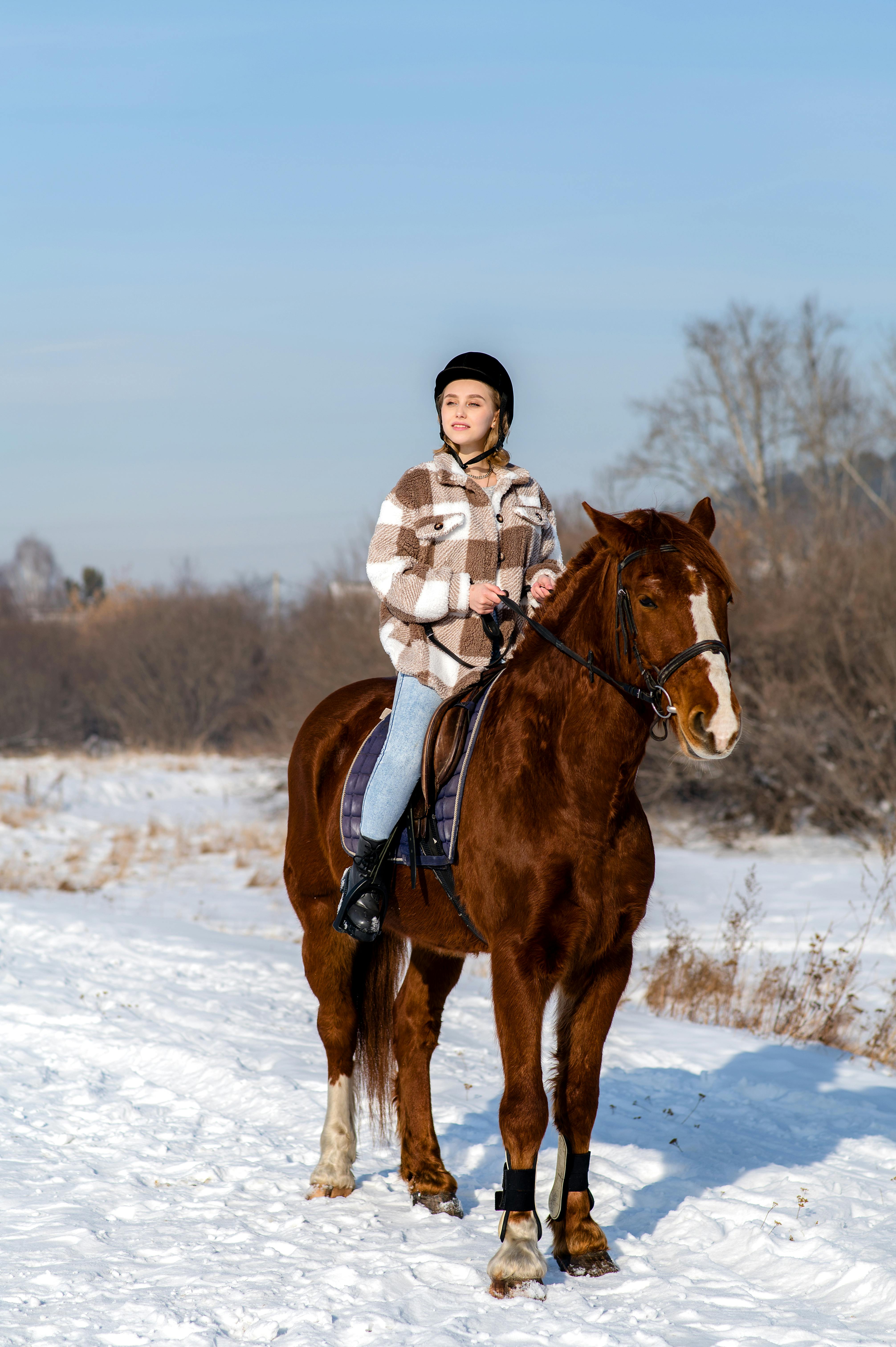 Horse Riding Women Photos, Download The BEST Free Horse Riding Women ...