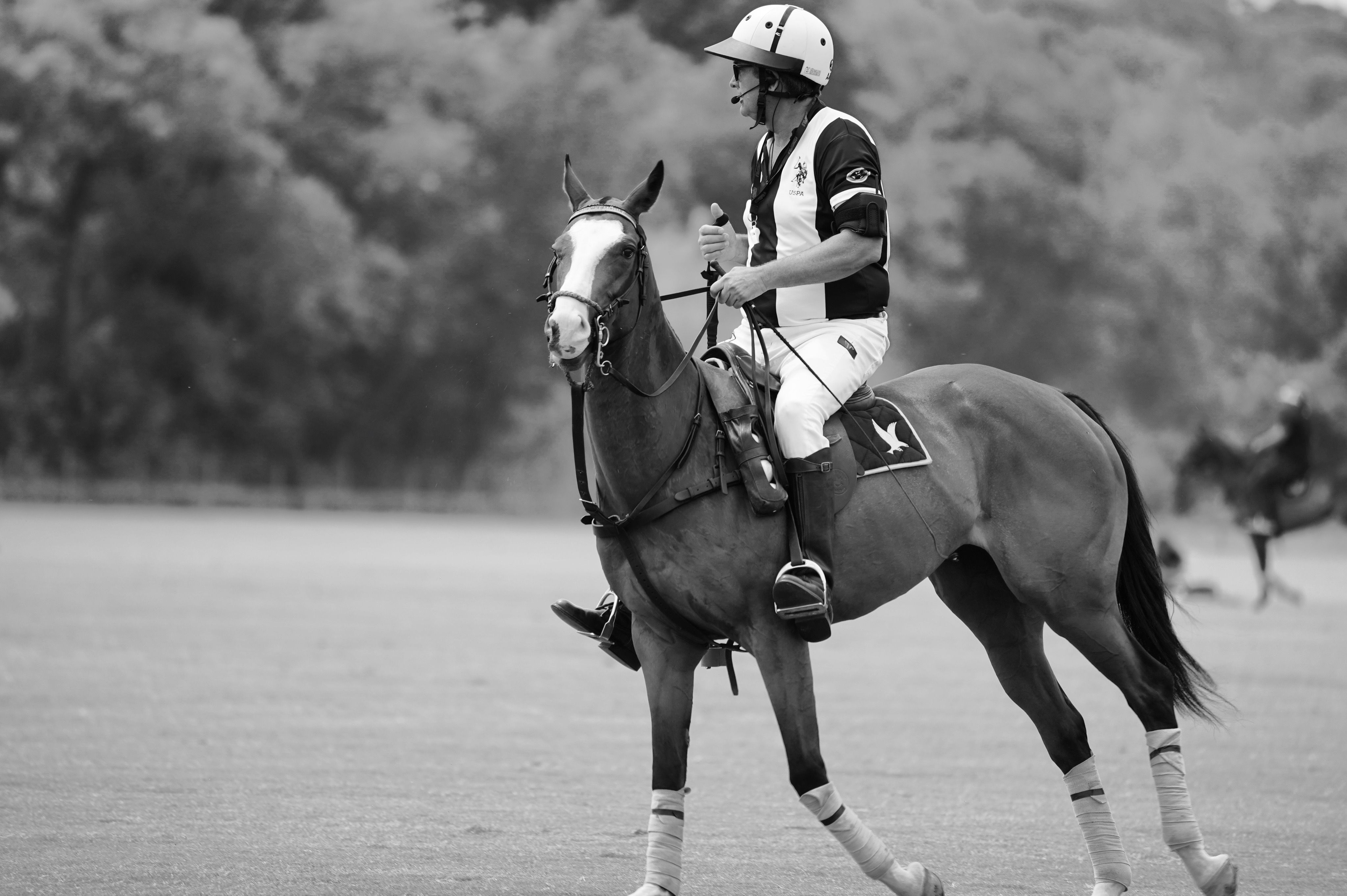 Black and White Polo Match Action Scene · Free Stock Photo