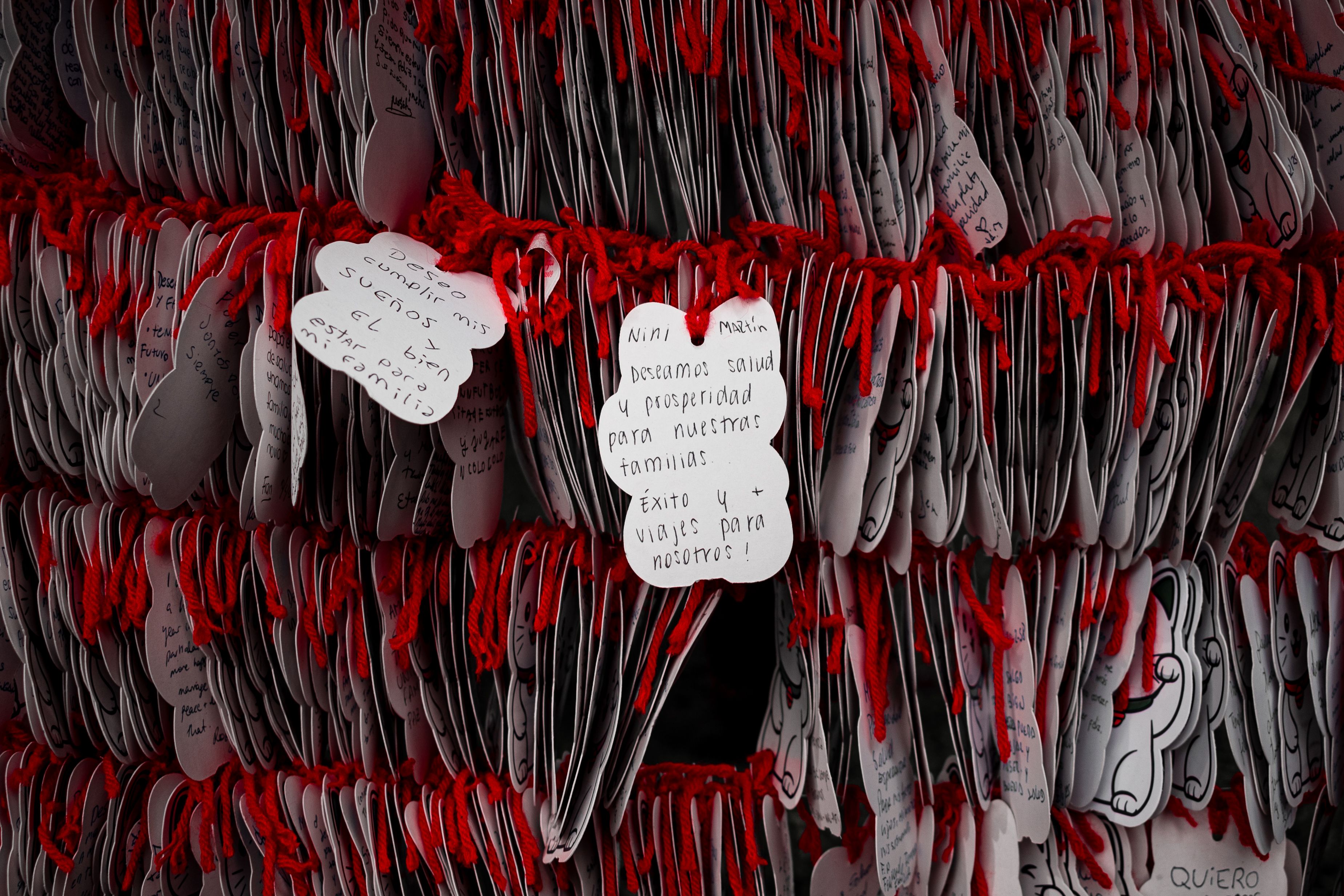 Japanese Wish Tags Display in Buenos Aires · Free Stock Photo