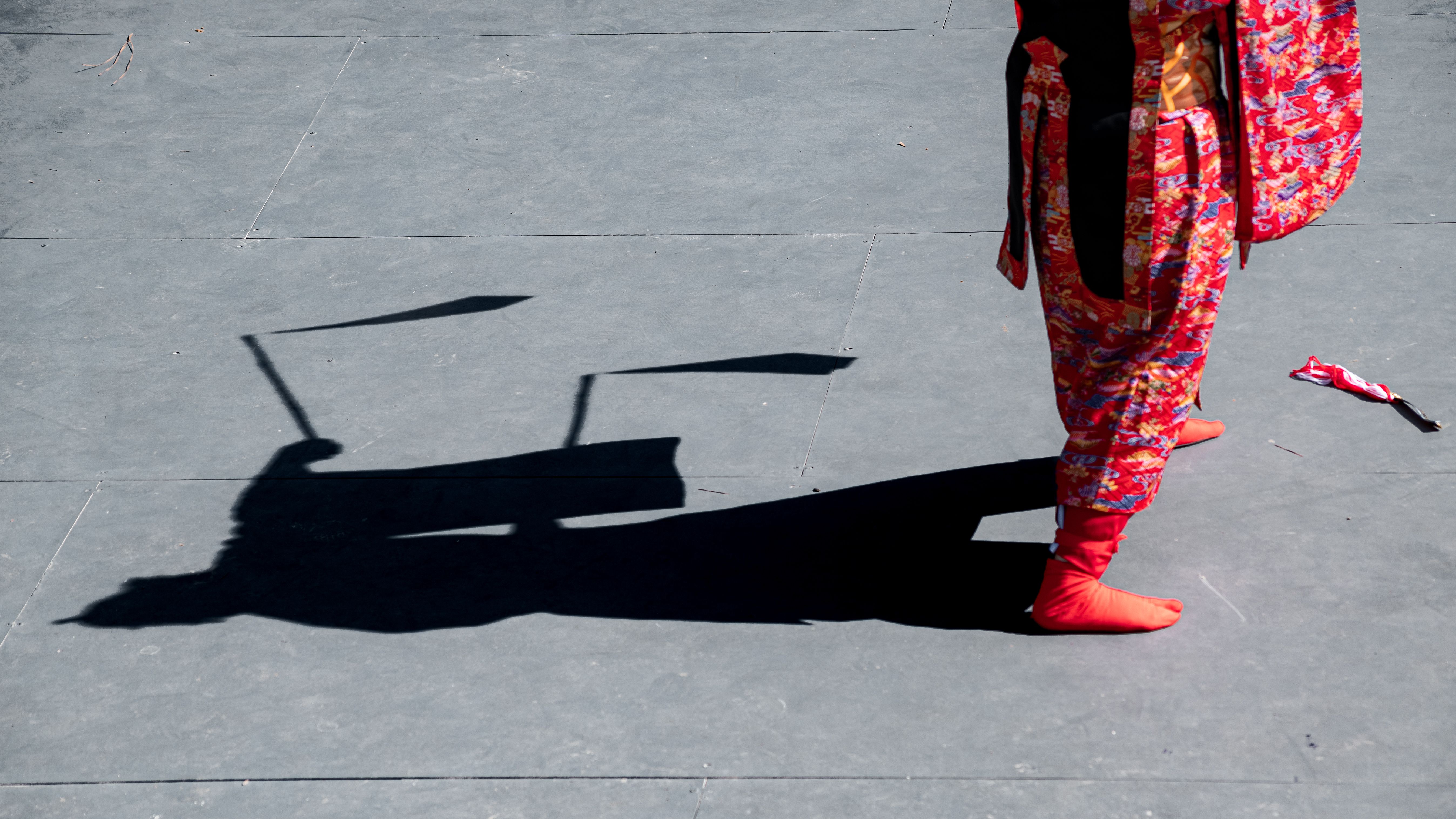 Colorful Performer in Shadow, Cultural Festival · Free Stock Photo