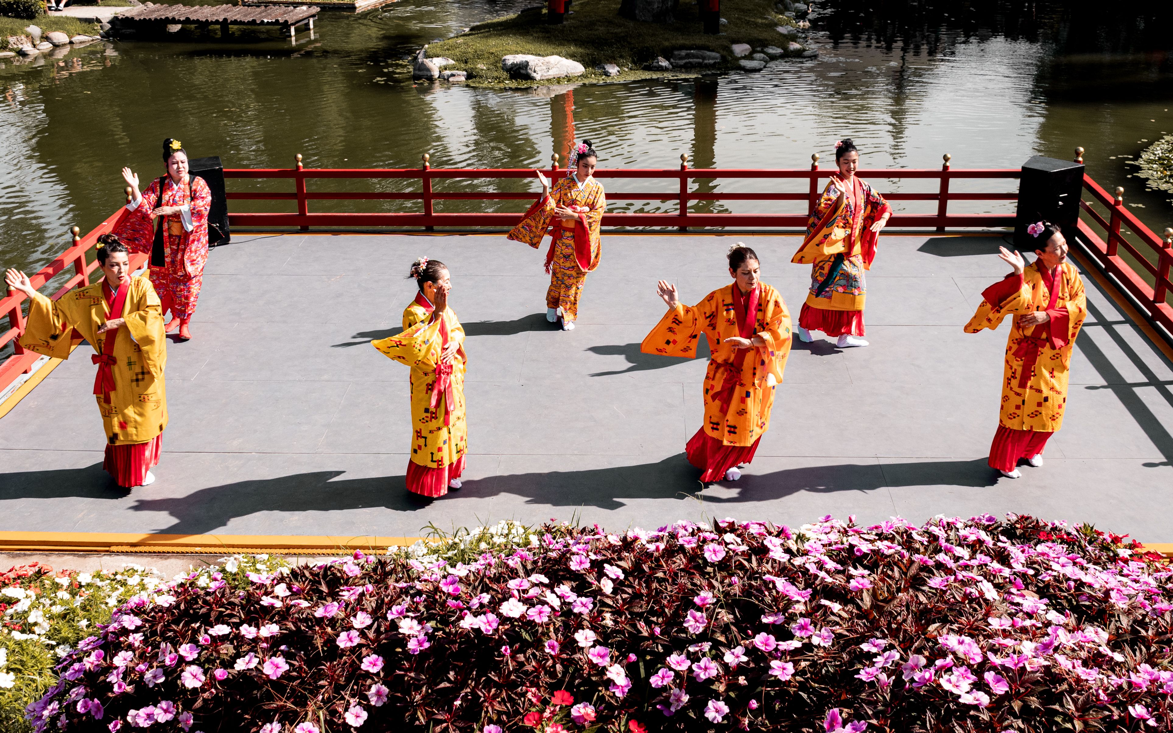 Traditional Japanese Dance in Buenos Aires Garden · Free Stock Photo