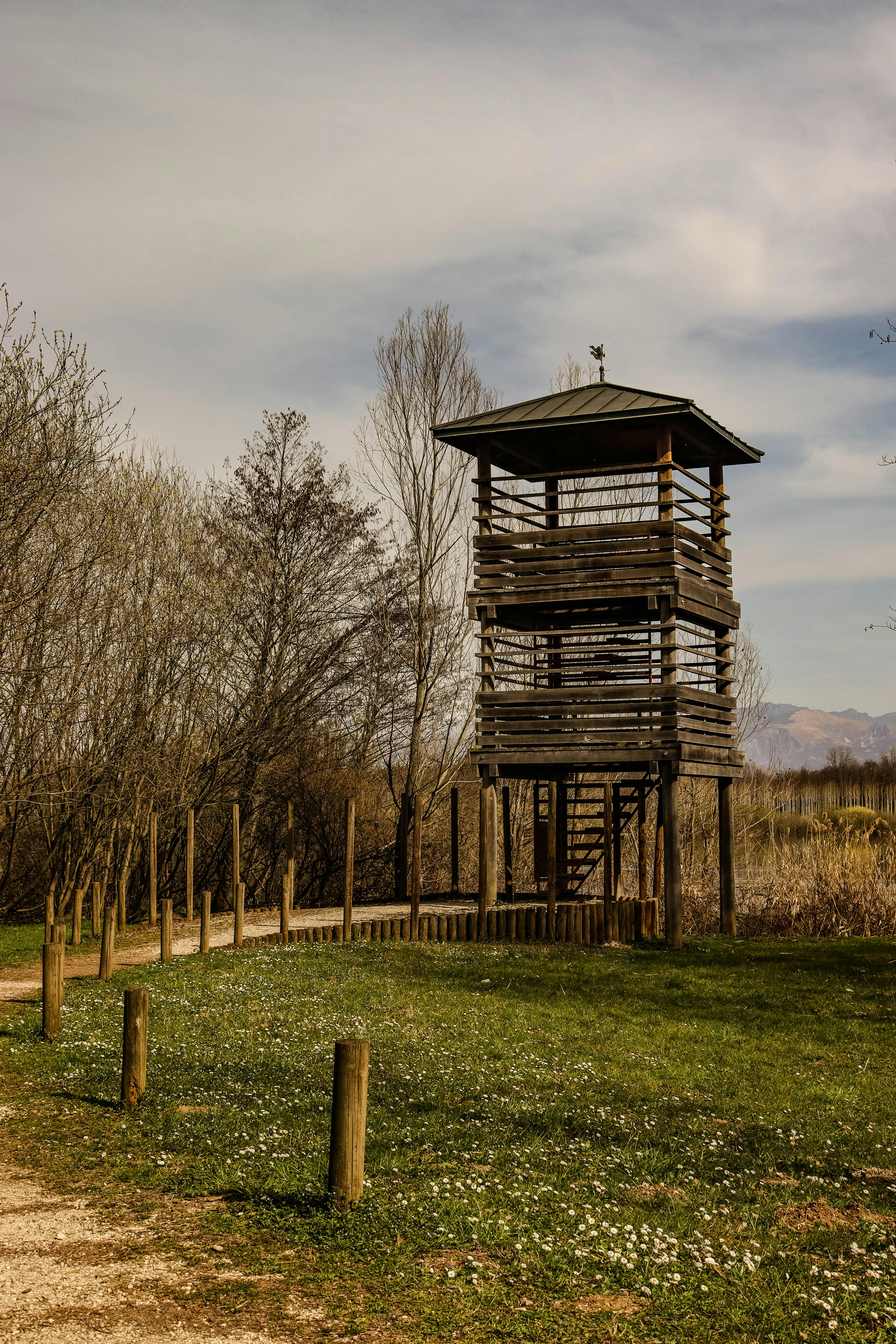 Wooden Observation Tower in Natural Landscape · Free Stock Photo