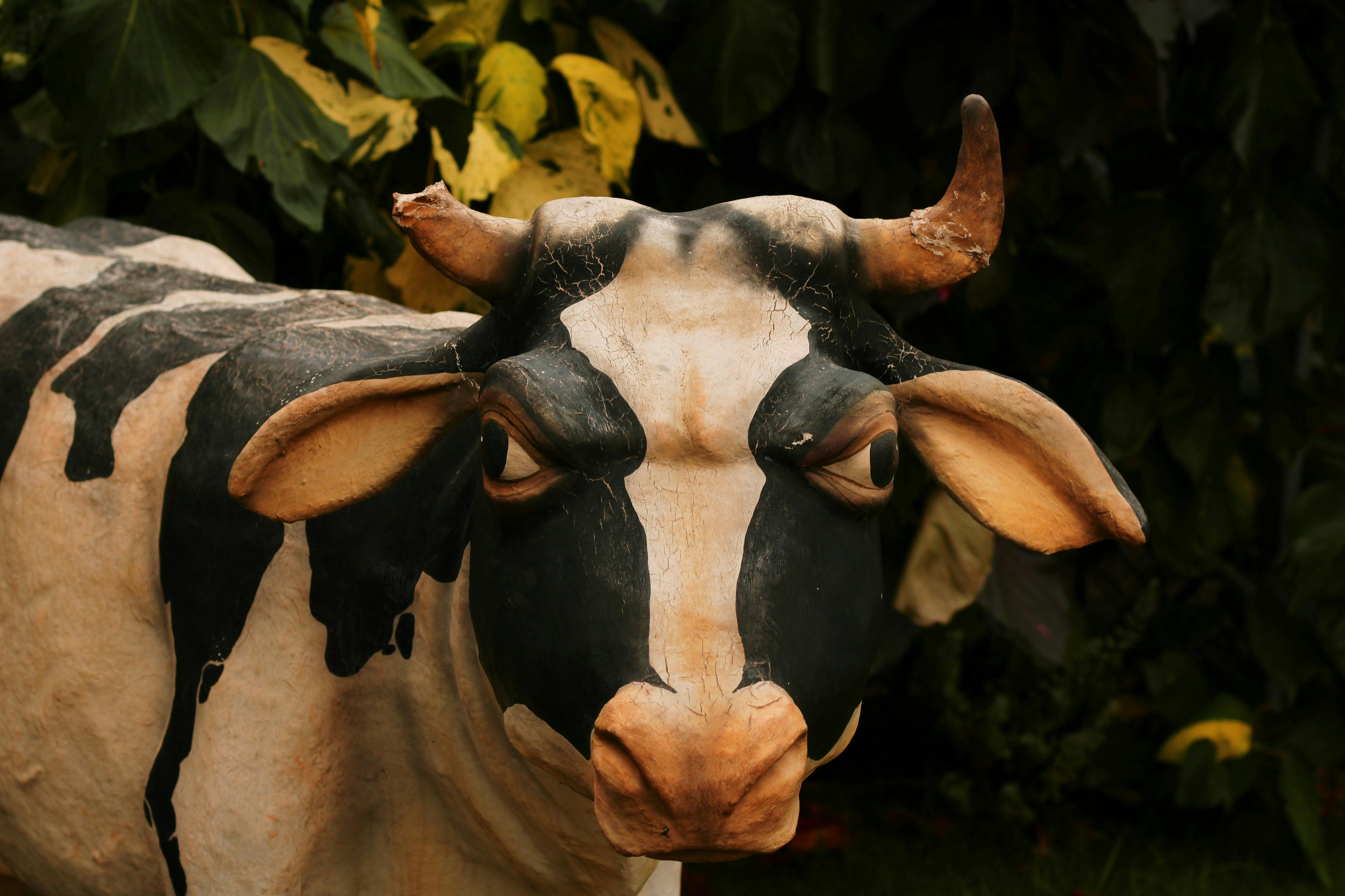 Realistic Backgrounds For Montage Photos, Download The BEST Free ...