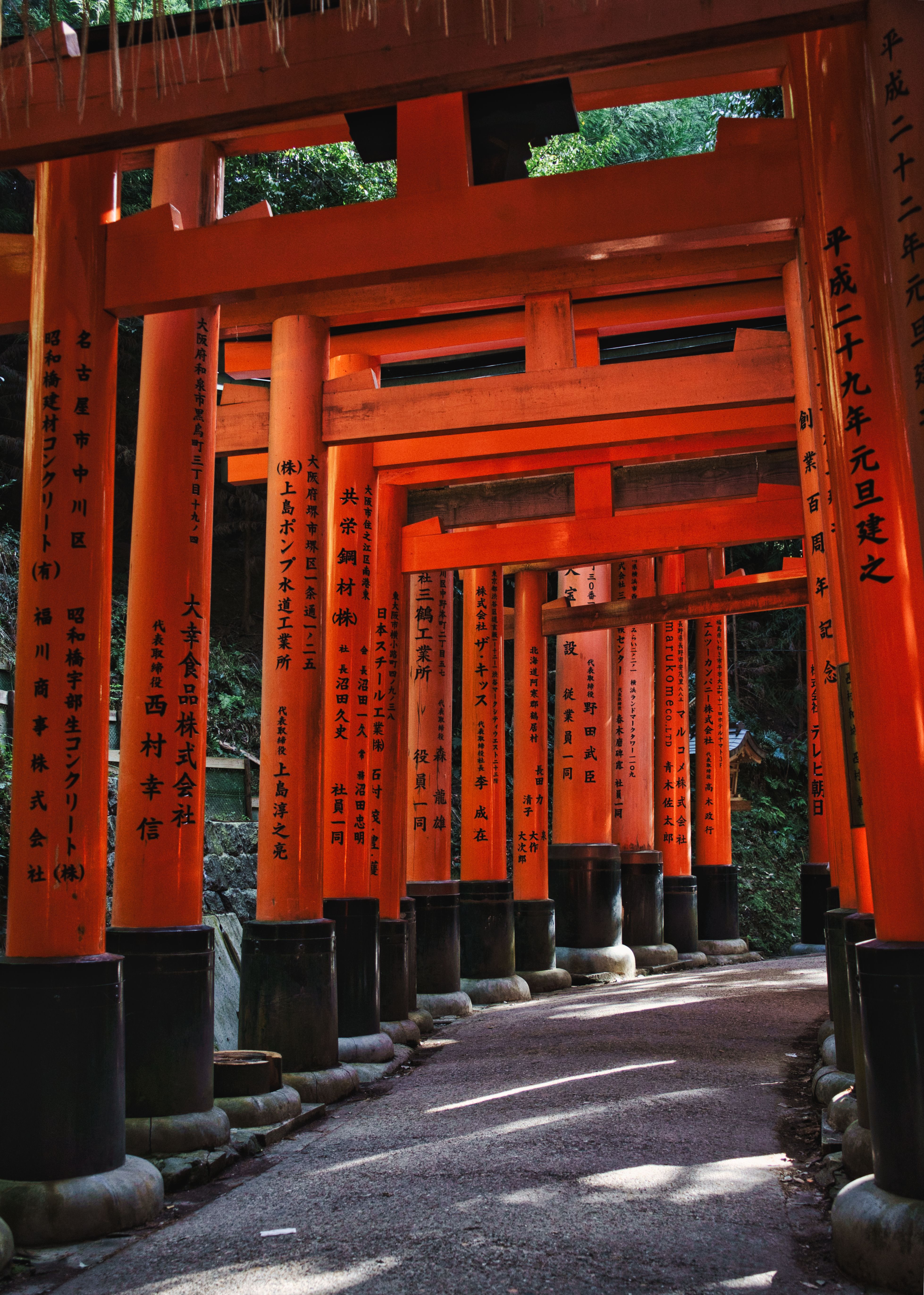Serene Pathway at Fushimi Inari Taisha Shrine · Free Stock Photo