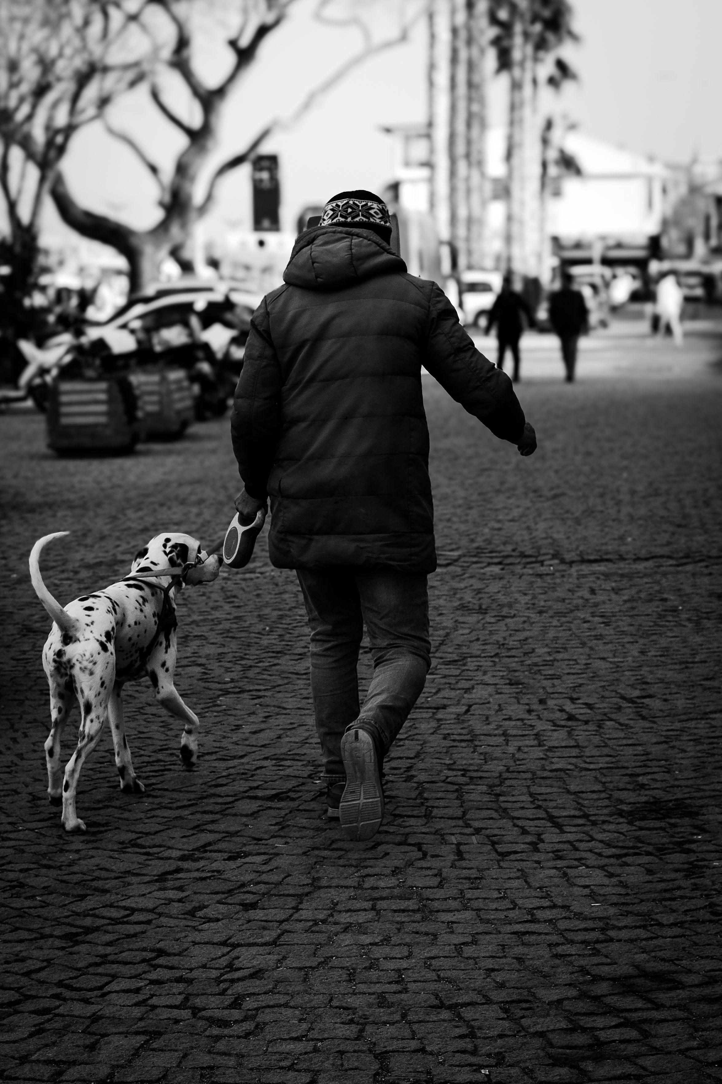 Man With A Dog Feel Amazed Photos, Download The BEST Free Man With A ...