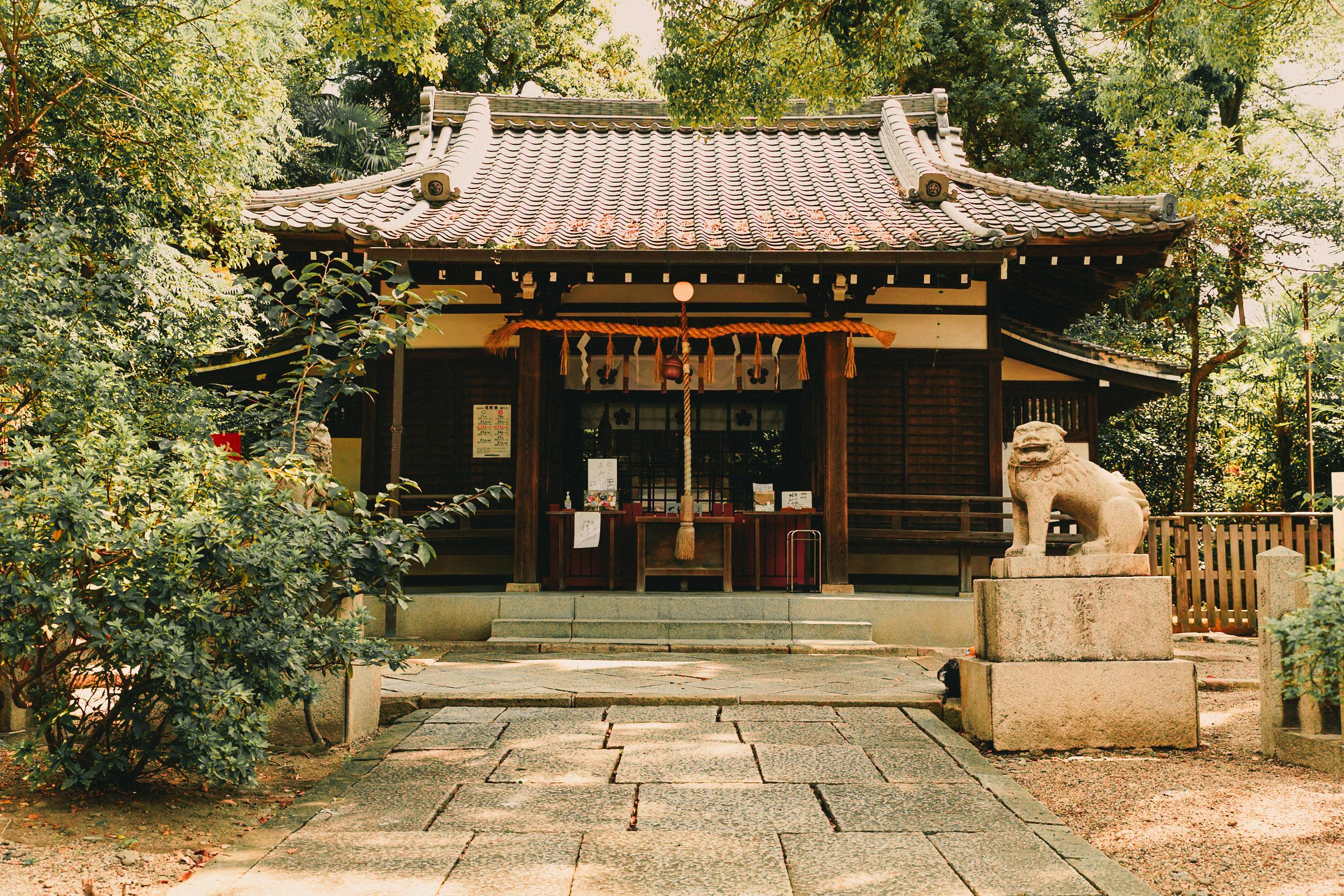 Jungle Japanese Temple Photos, Download The BEST Free Jungle Japanese ...
