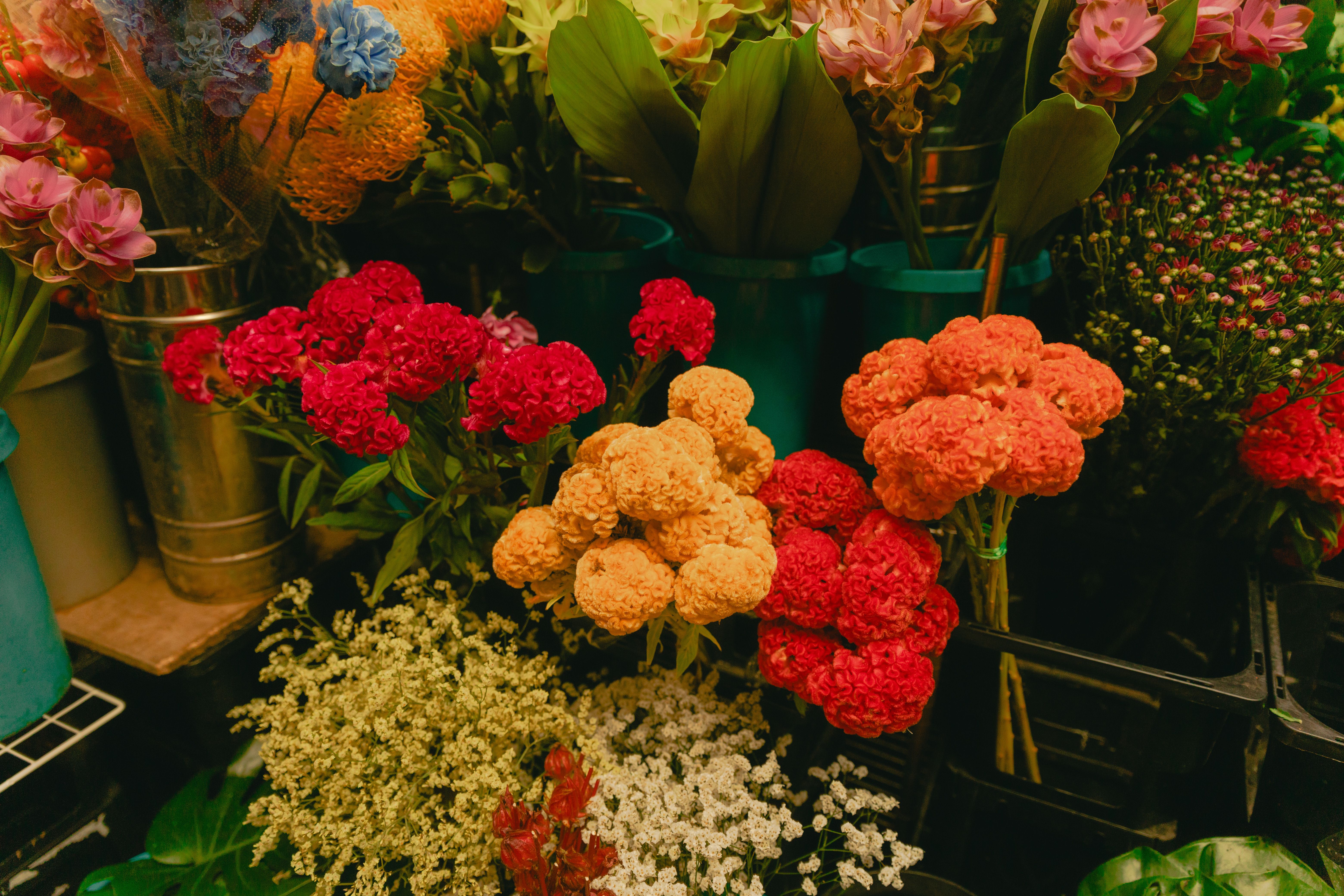 Vibrant Multi-Colored Floral Display at Flower Shop · Free Stock Photo