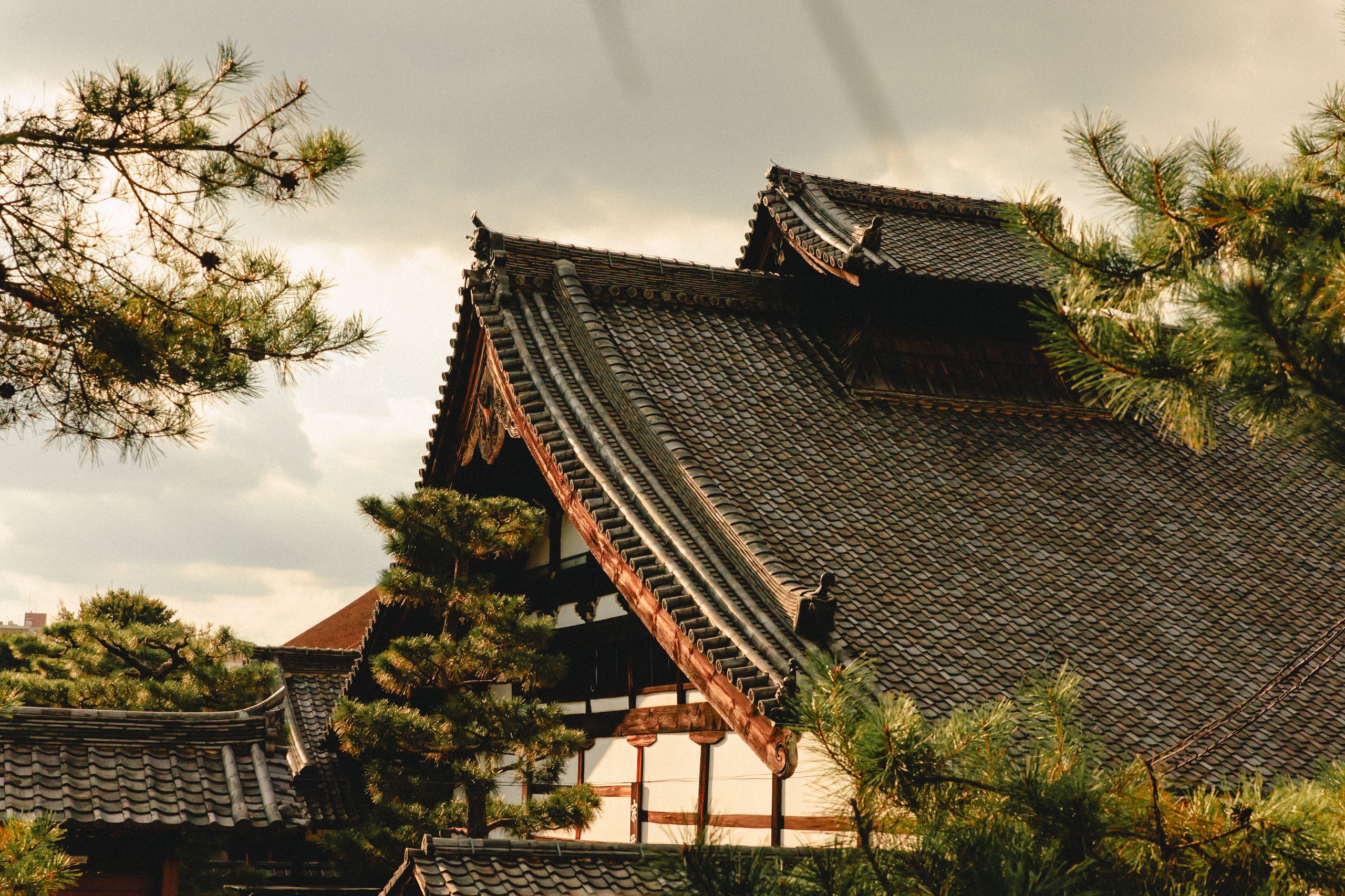 Traditional Japanese Temple Roof Amidst Greenery · Free Stock Photo