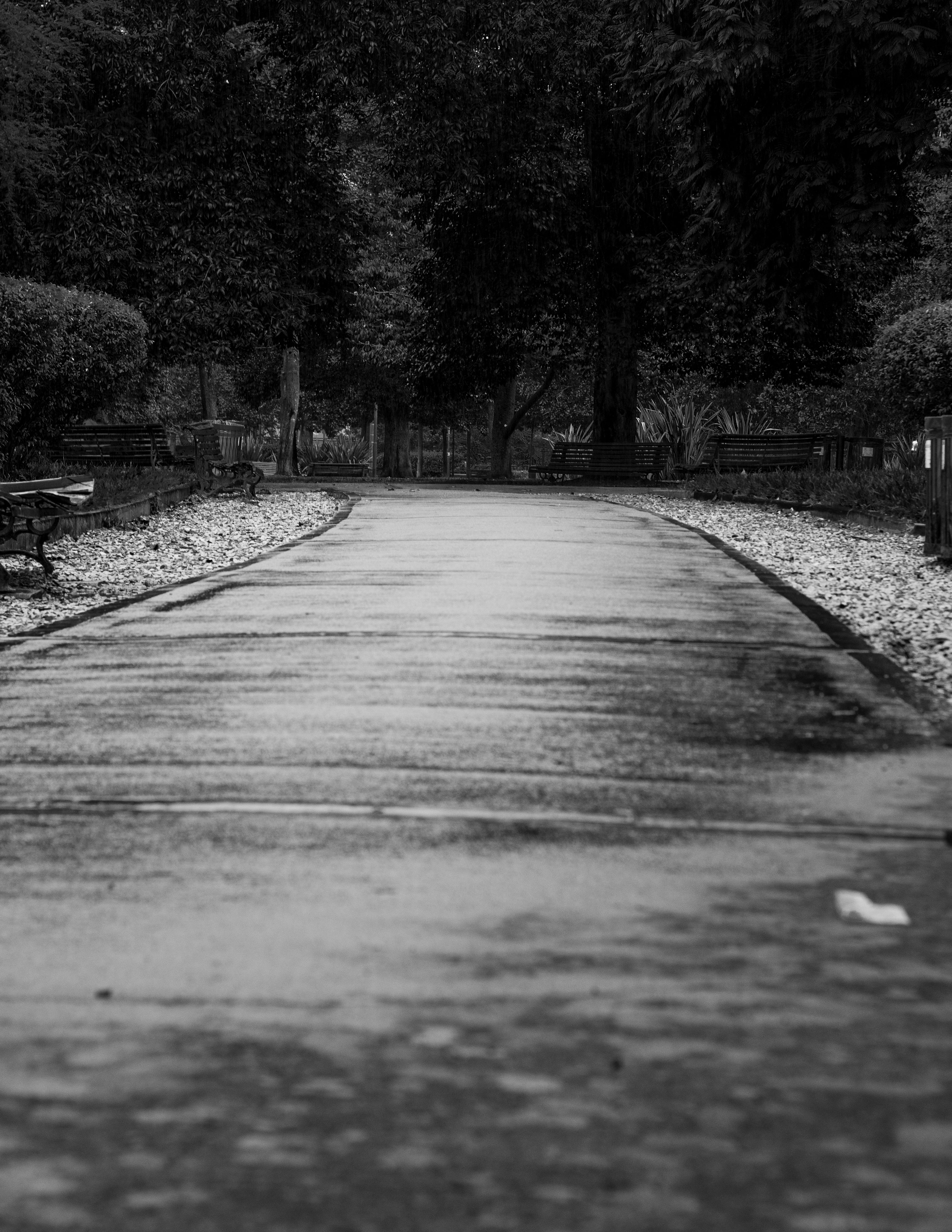 Black and White Pathway in Buenos Aires Park · Free Stock Photo
