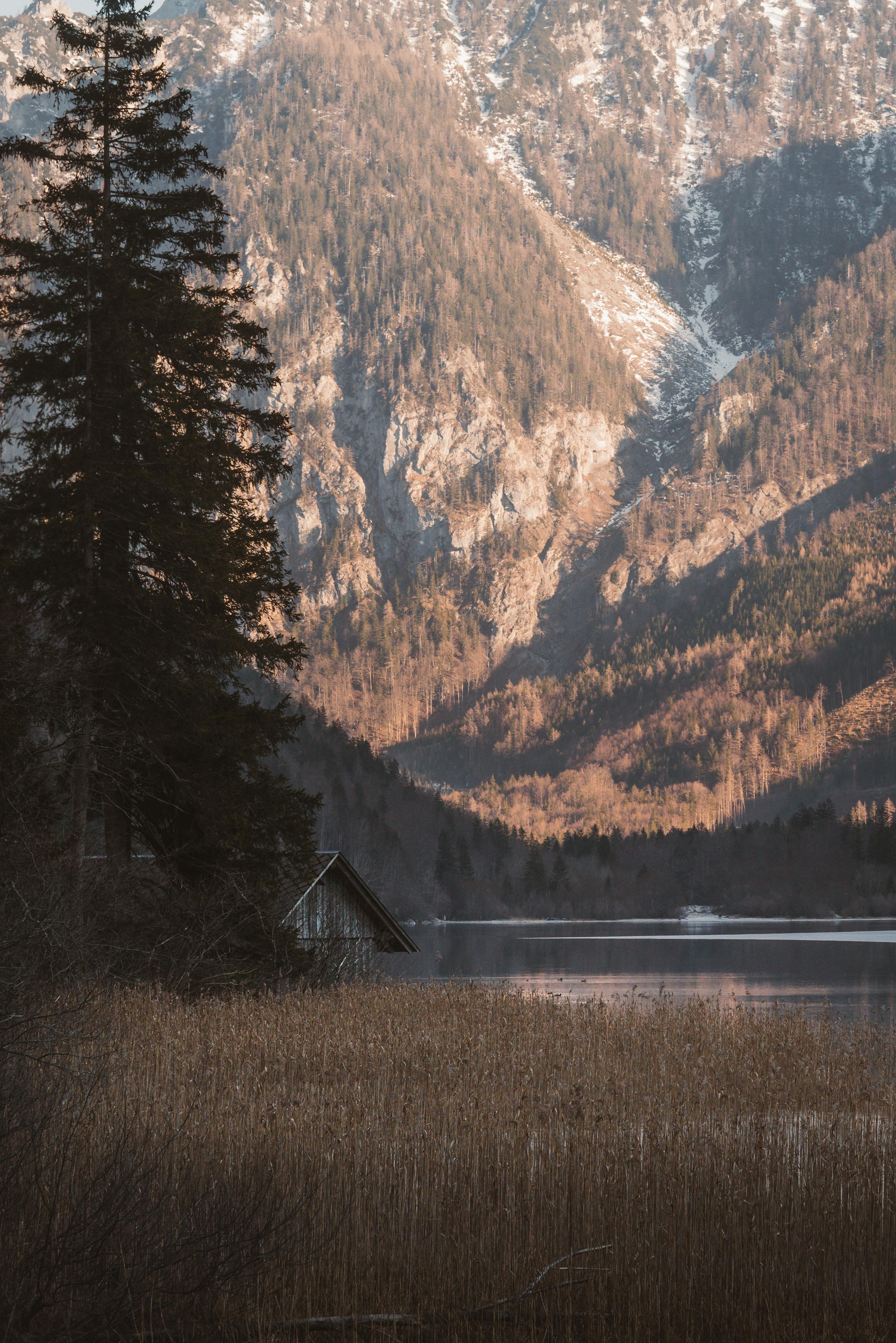 Unsplash Photos, Download The BEST Free Unsplash Stock Photos & HD Images