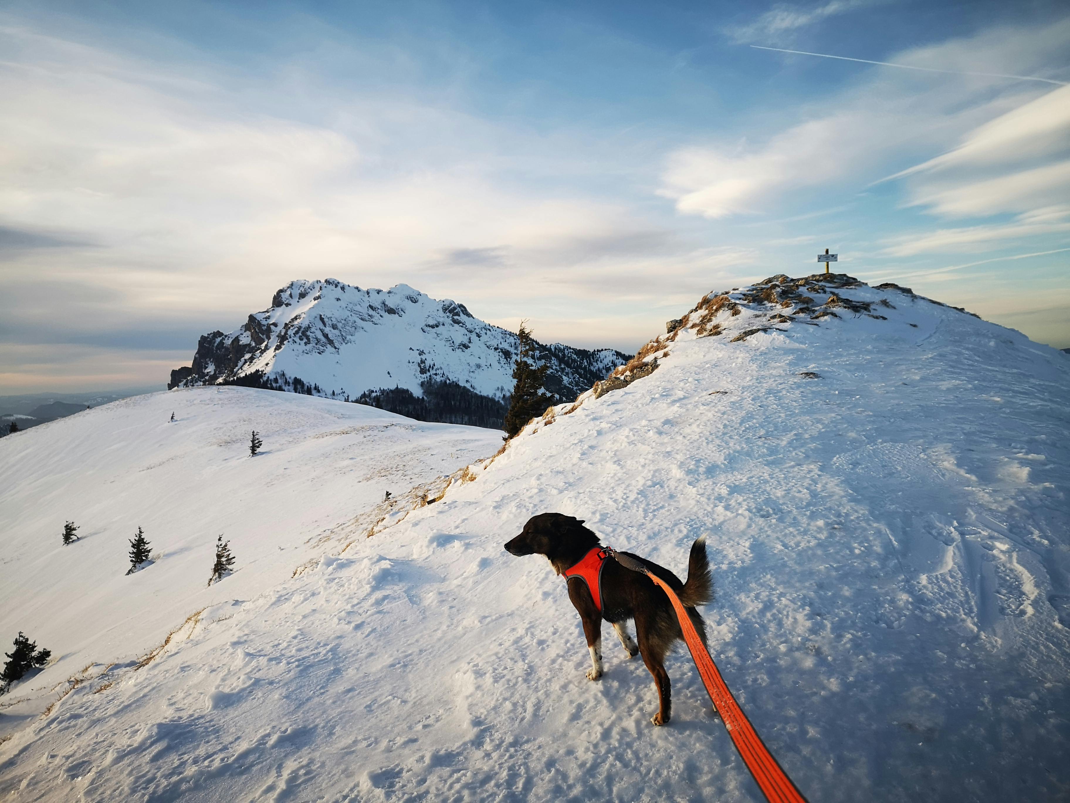 Mountain Sunset Photos, Download The BEST Free Mountain Sunset Stock ...