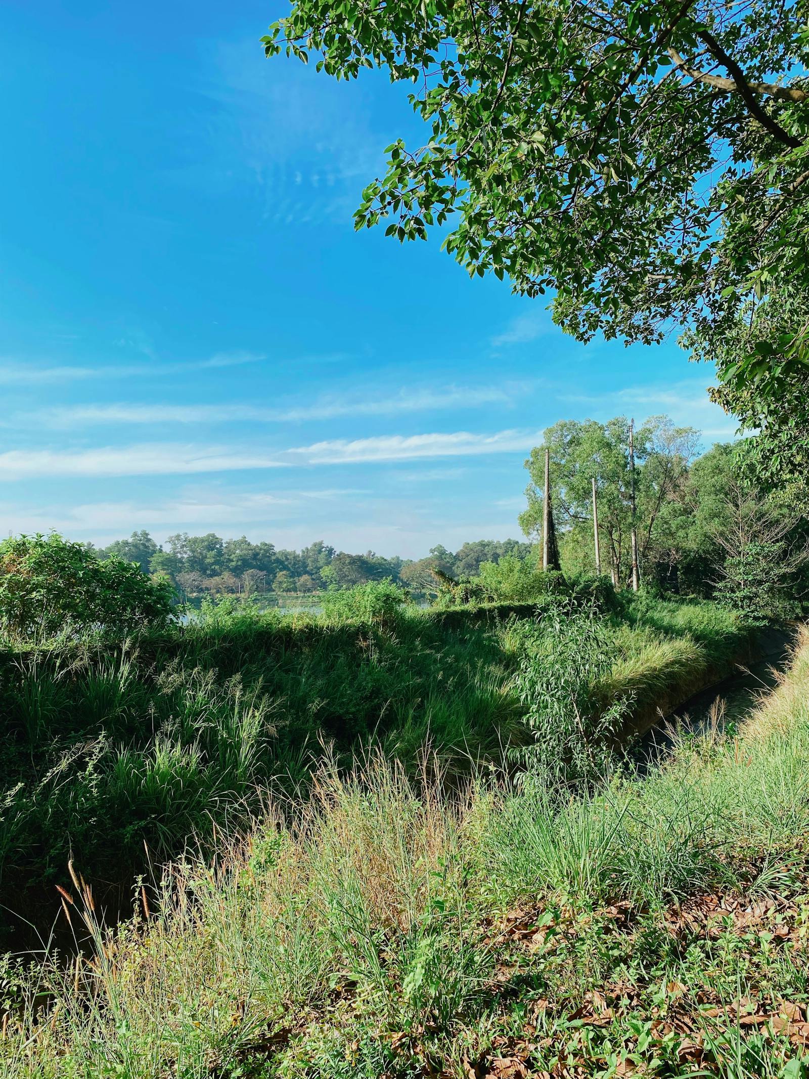 Summer Season Photos, Download The BEST Free Summer Season Stock Photos ...