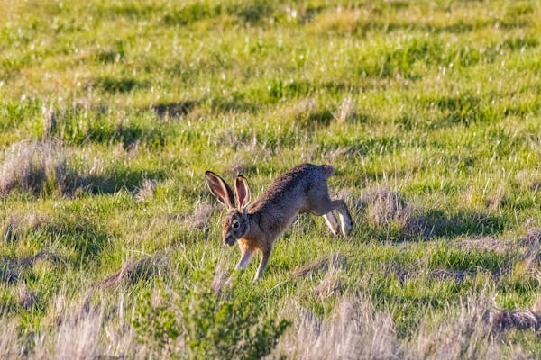 Free Pick Photos, Download The BEST Free Free Pick Stock Photos & HD Images