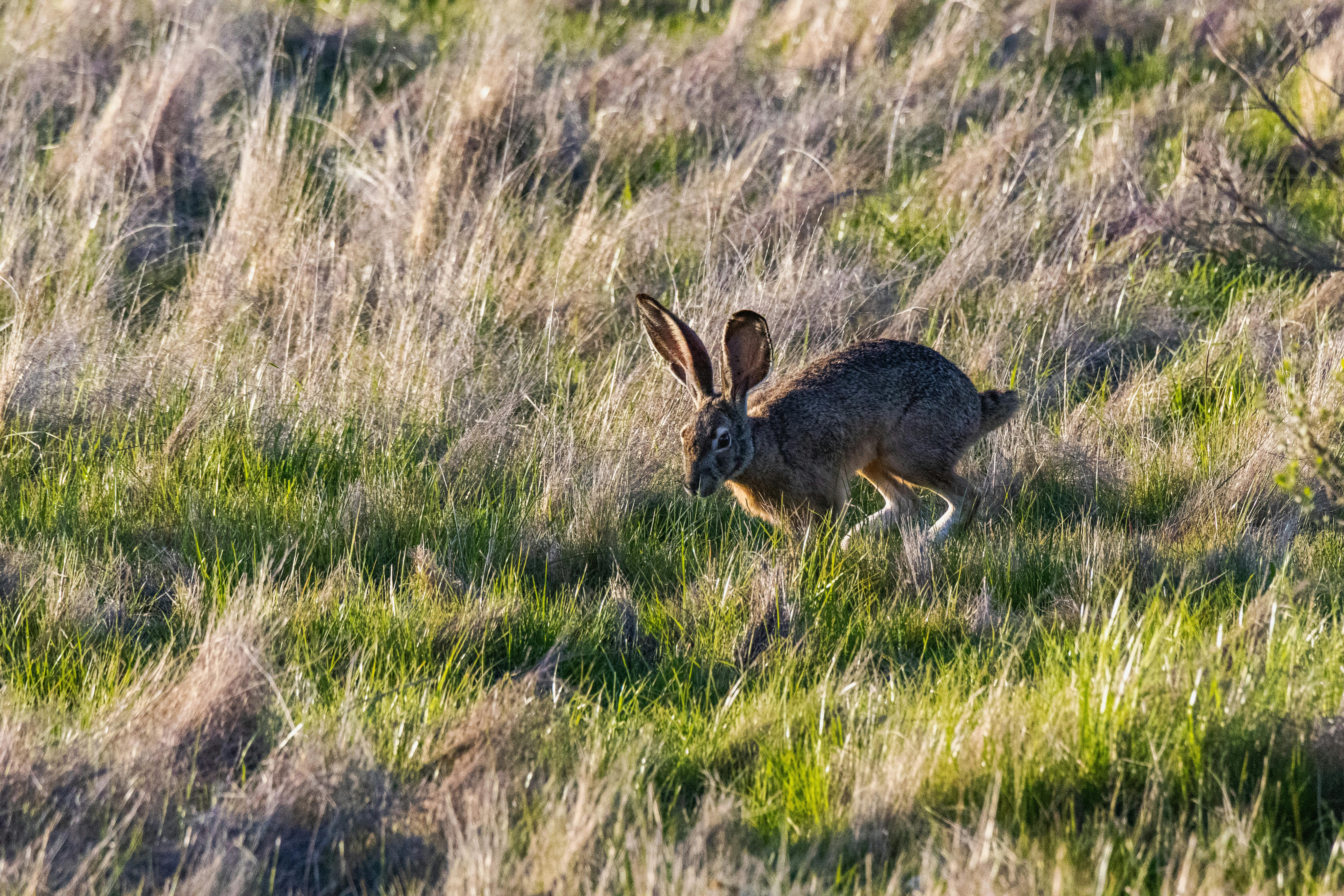 Pics+Search Photos, Download The BEST Free Pics+Search Stock Photos & HD Images