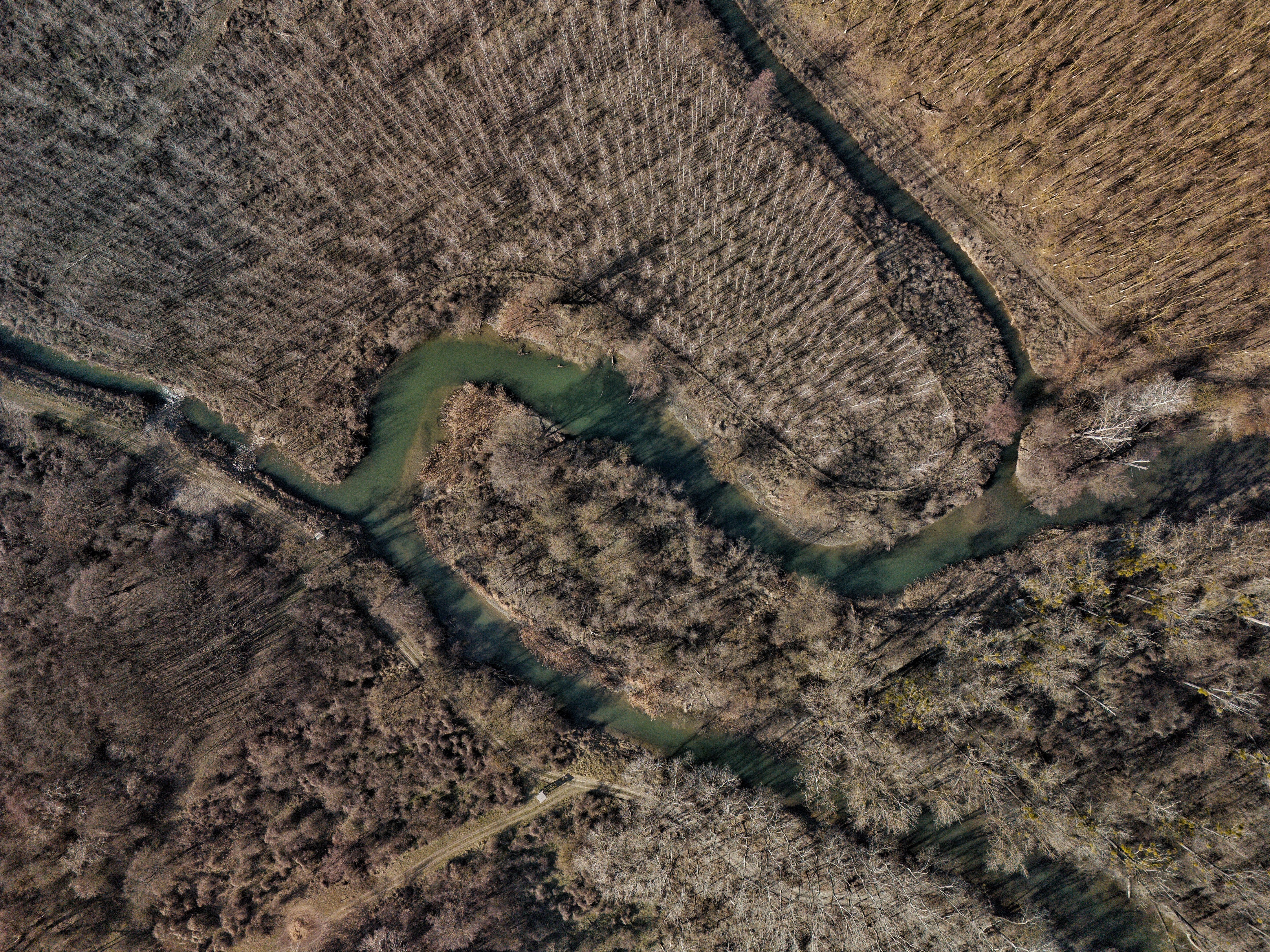 Aerial View of Serpentine River and Forest · Free Stock Photo