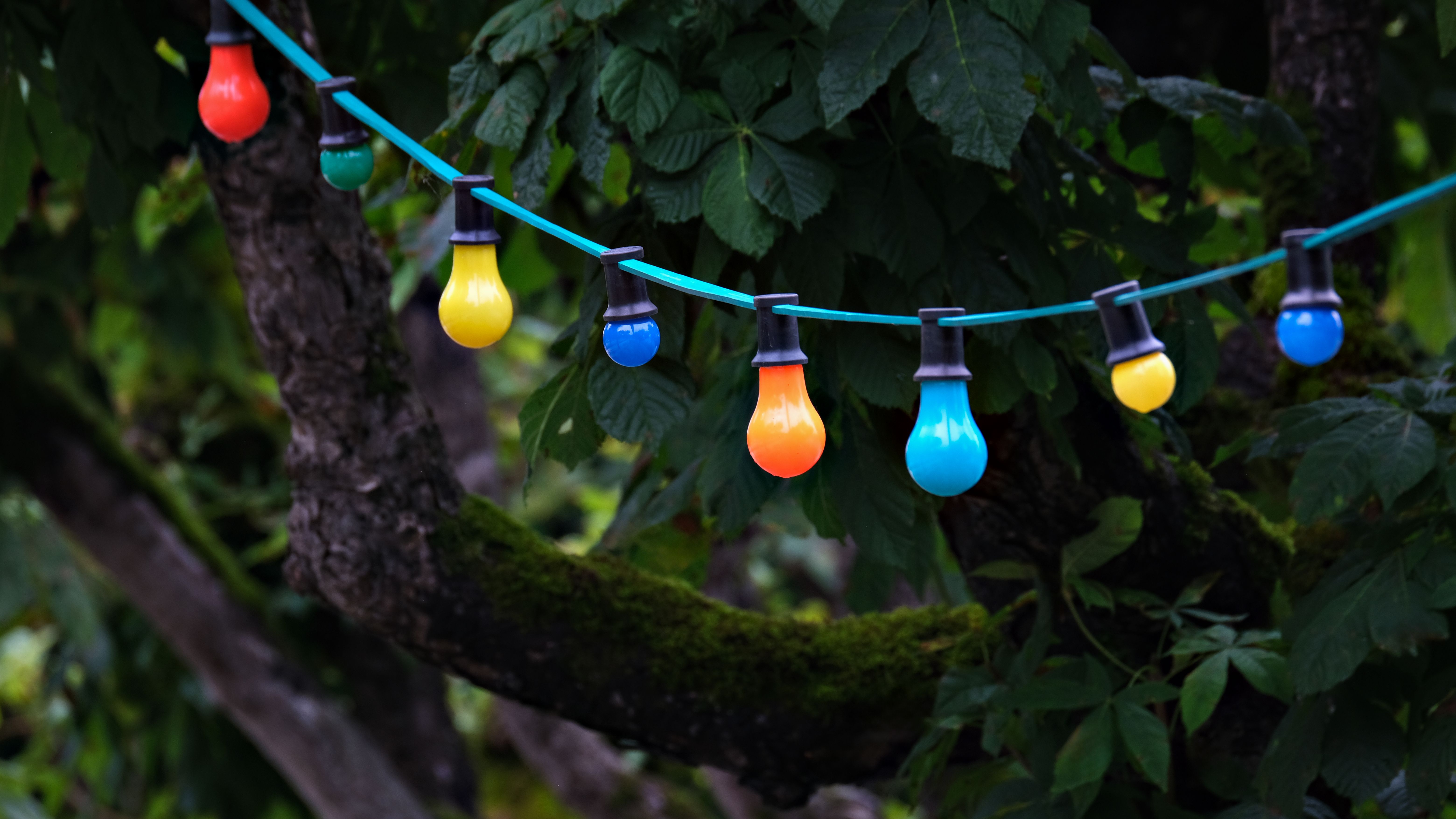 Colorful Festive Lights Hanging Outdoors · Free Stock Photo