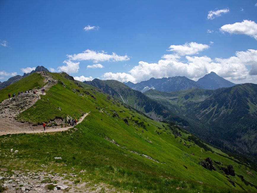 Polish mountain meadow