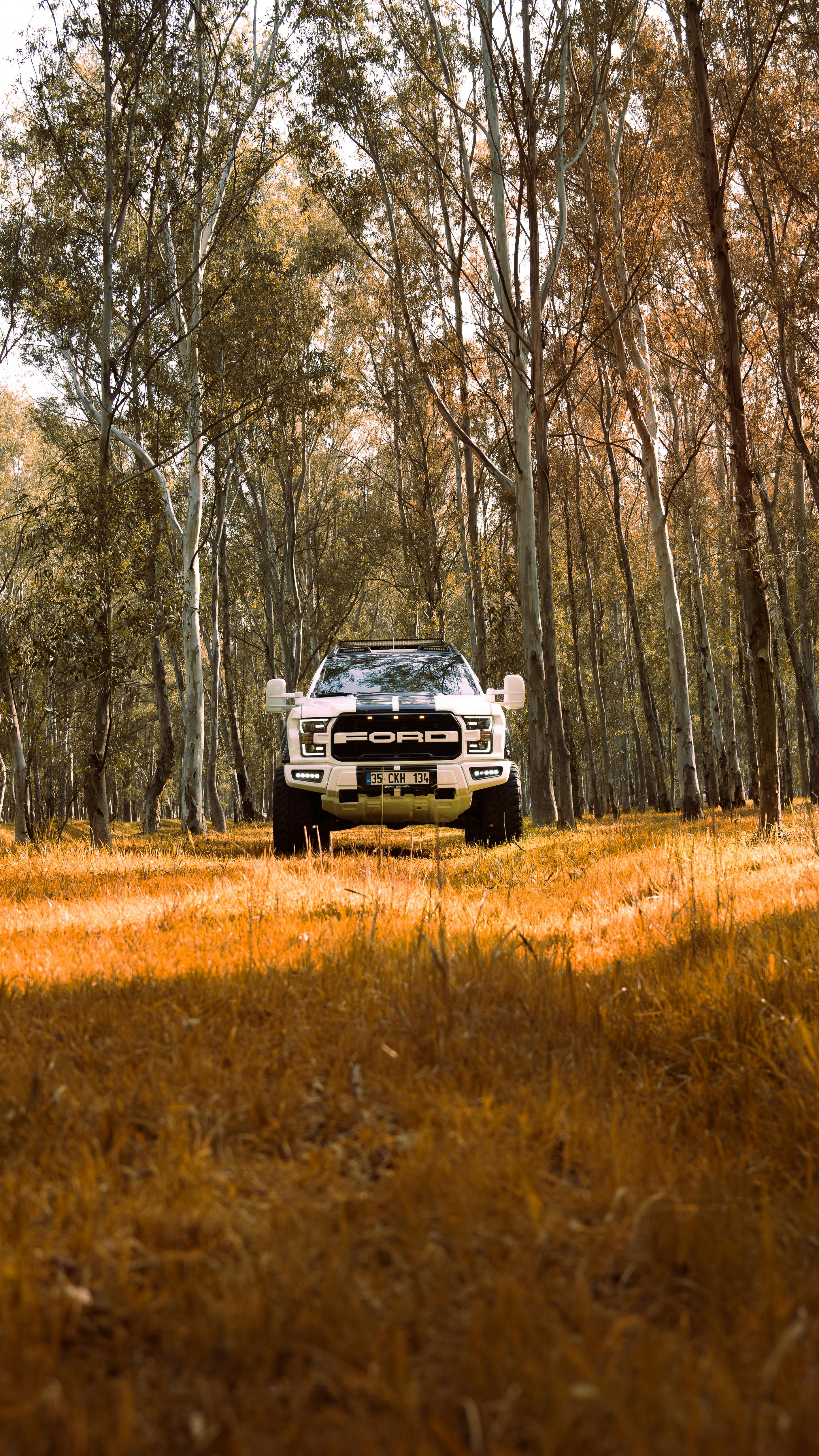Ford Truck in Autumn Forest, Izmir, Turkey · Free Stock Photo