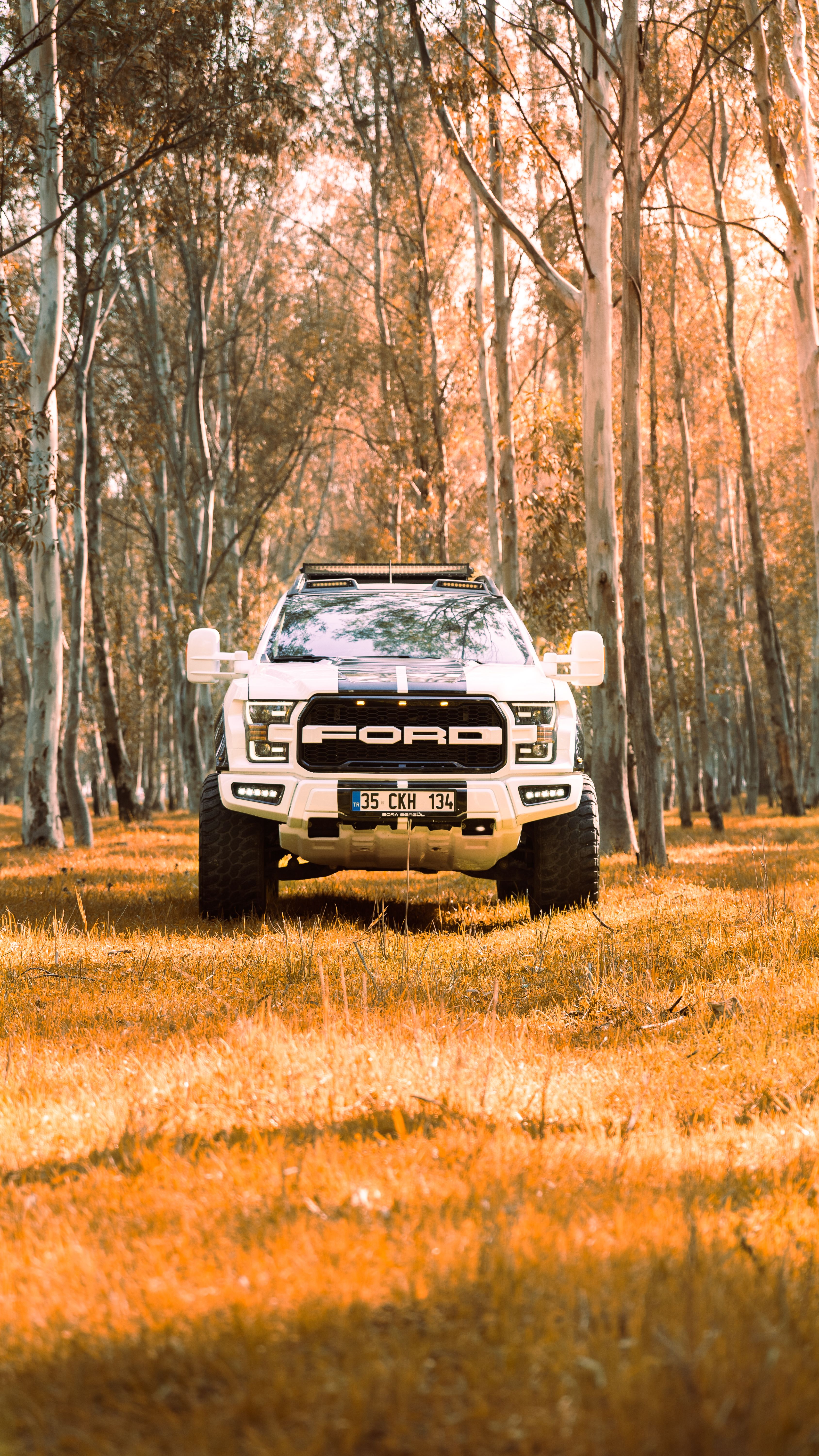 Ford 4x4 in Autumn İzmir Forest · Free Stock Photo