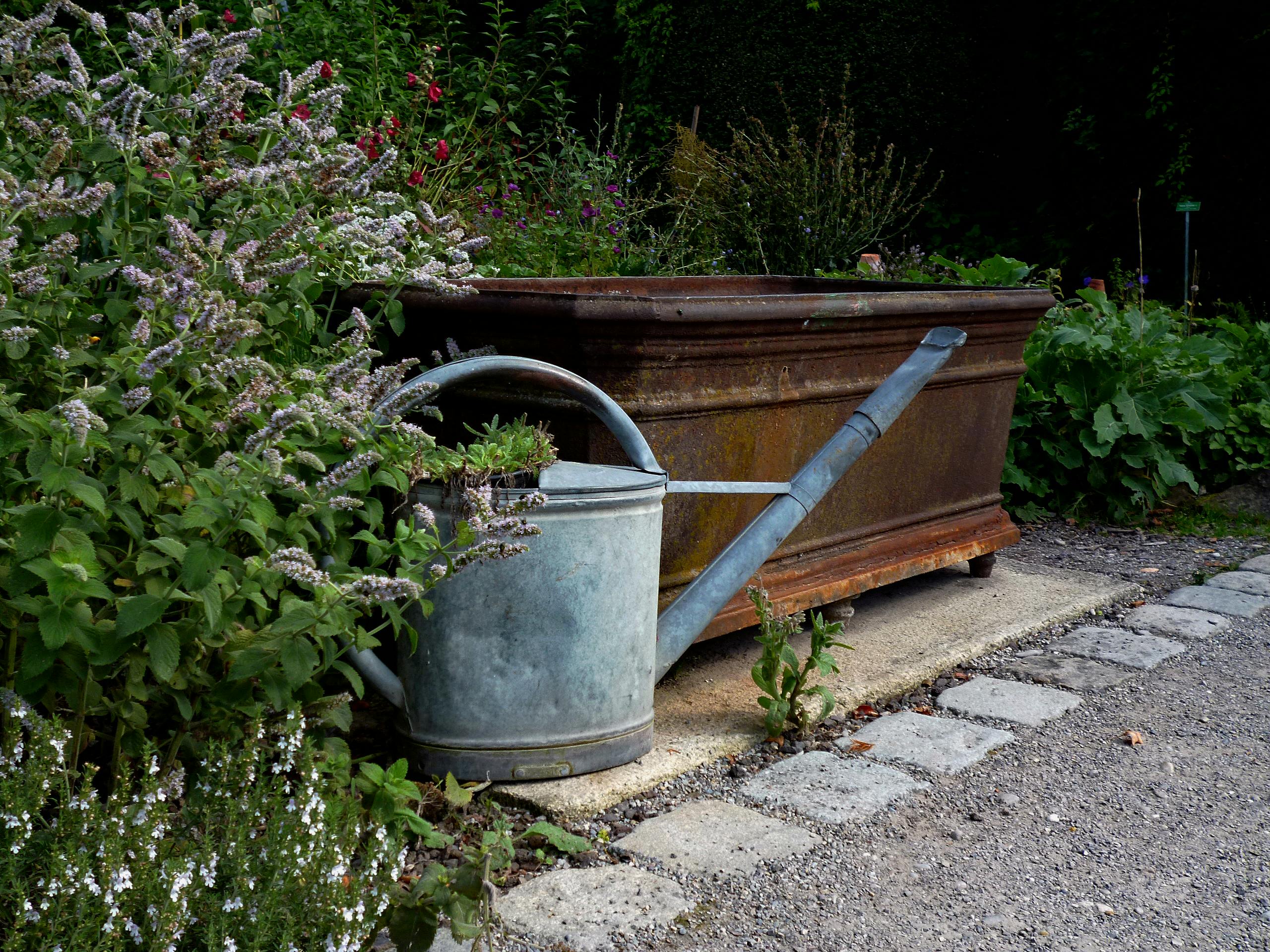 Rustic Watering Can in a Lush Bavarian Garden · Free Stock Photo