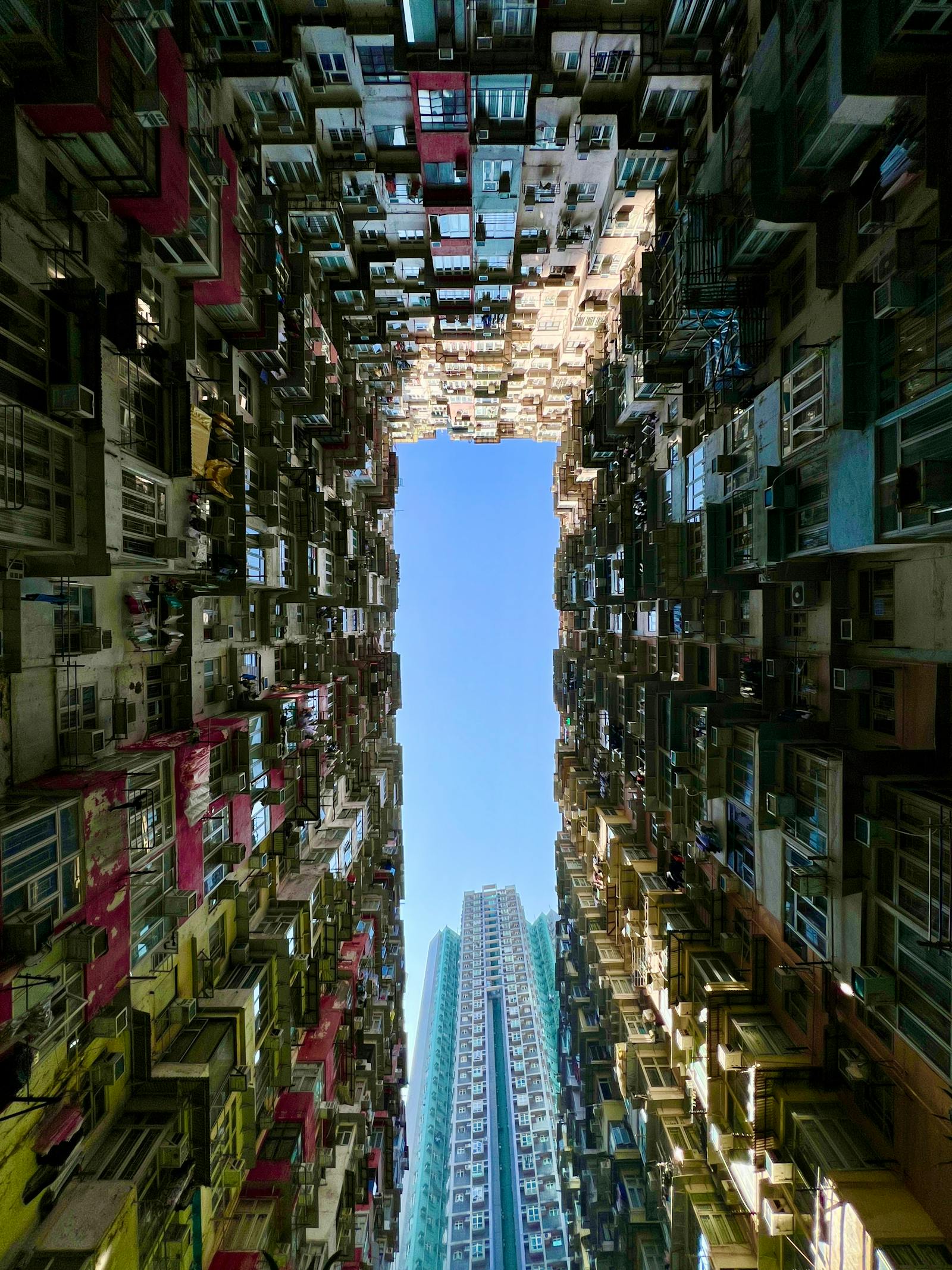 Old+Lady+Beaver+Shots Photos, Download The BEST Free Old+Lady+Beaver ...