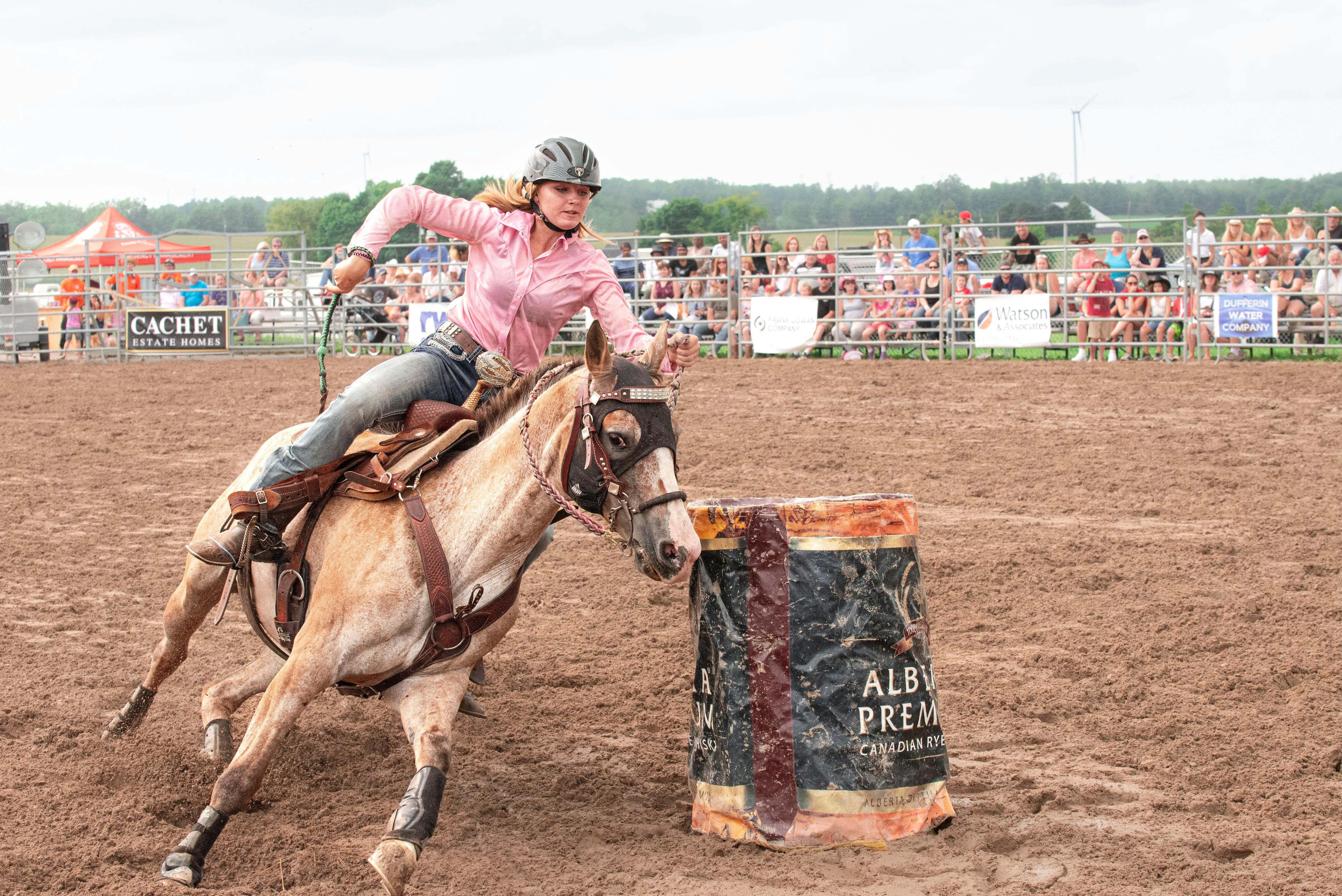 Dramatic Rodeo Barrel Racing Action Scene · Free Stock Photo