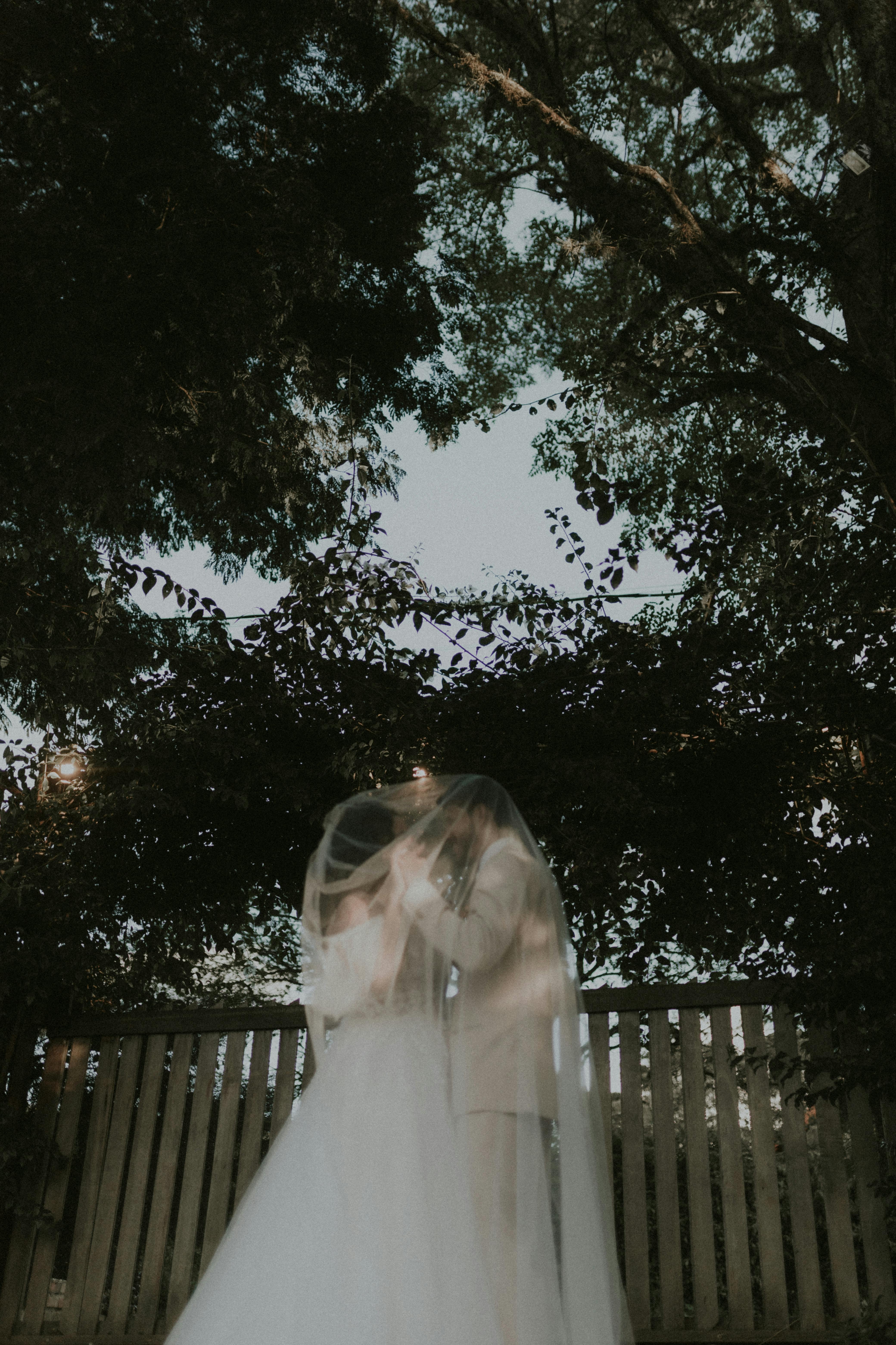 Enchanting Outdoor Wedding under Canopy Trees · Free Stock Photo