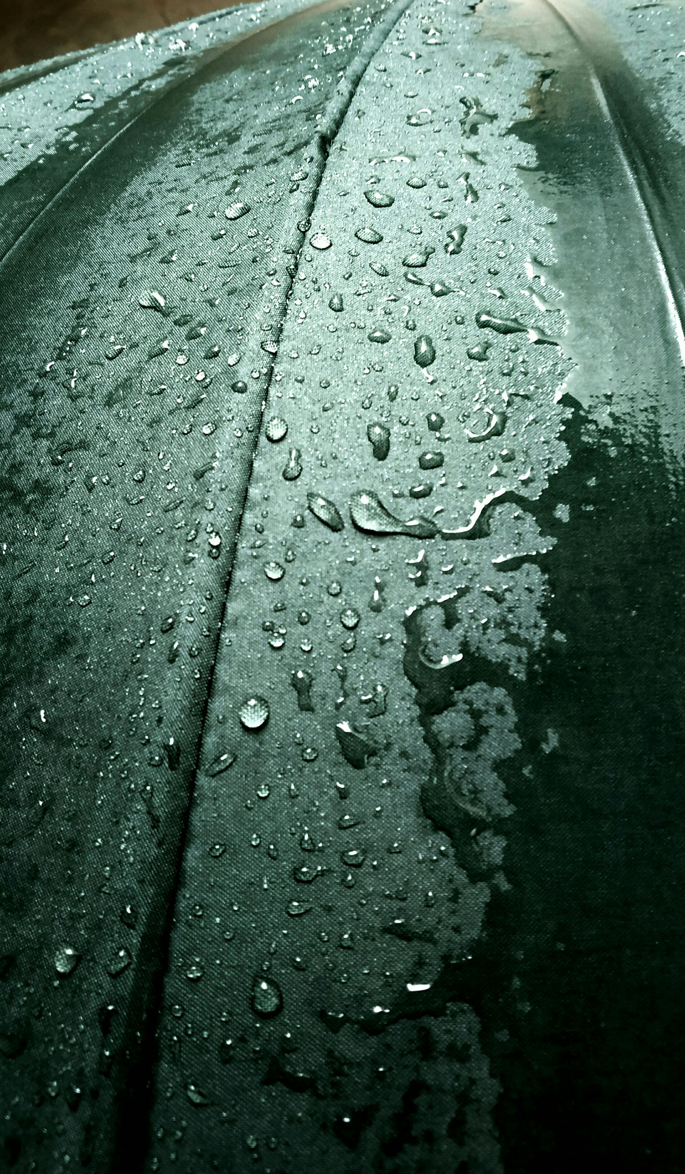 Wet surface in Close Up · Free Stock Photo